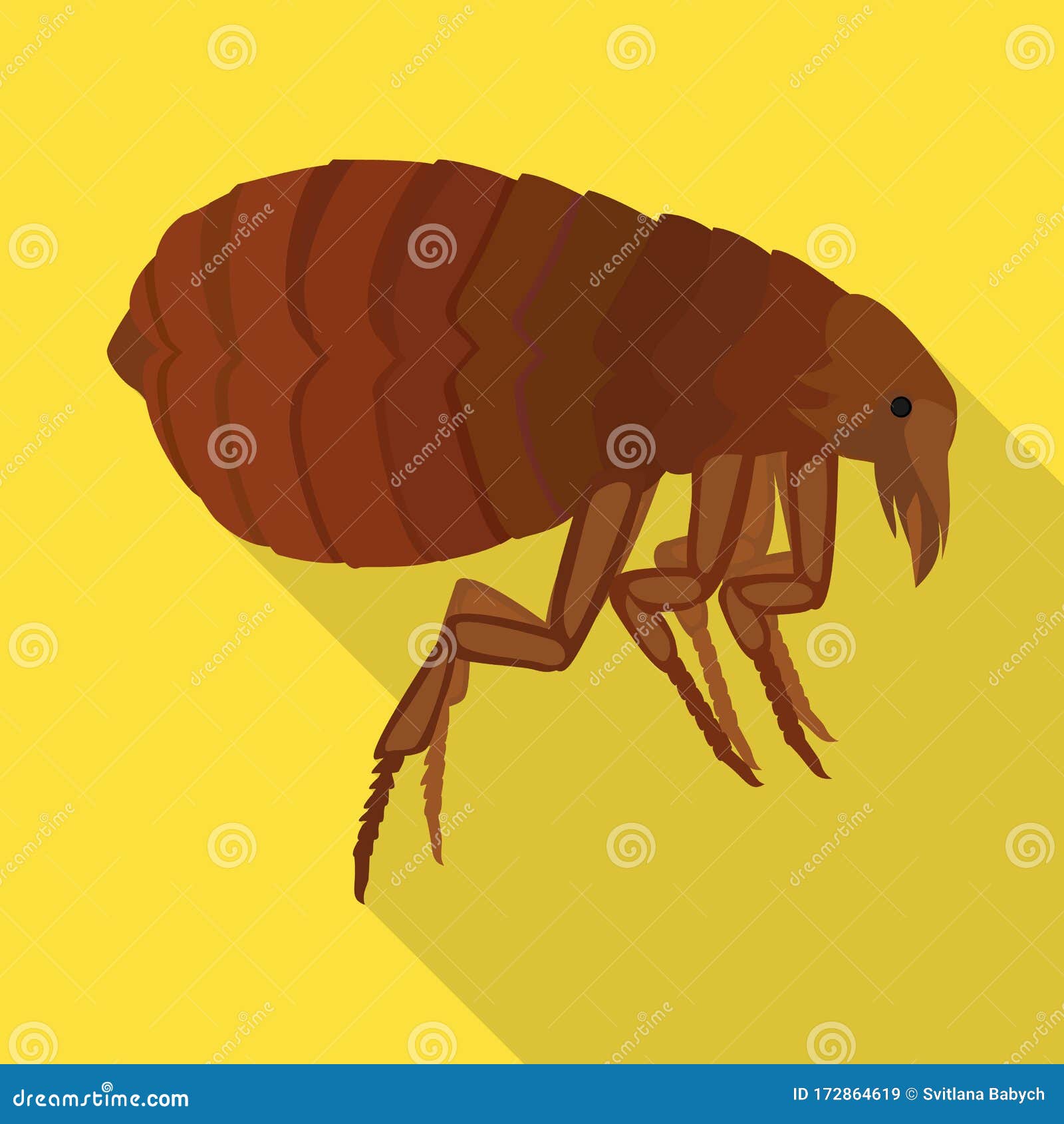 Flea. Vector Illustration. The Bloodsucker On An Isolated Green ...