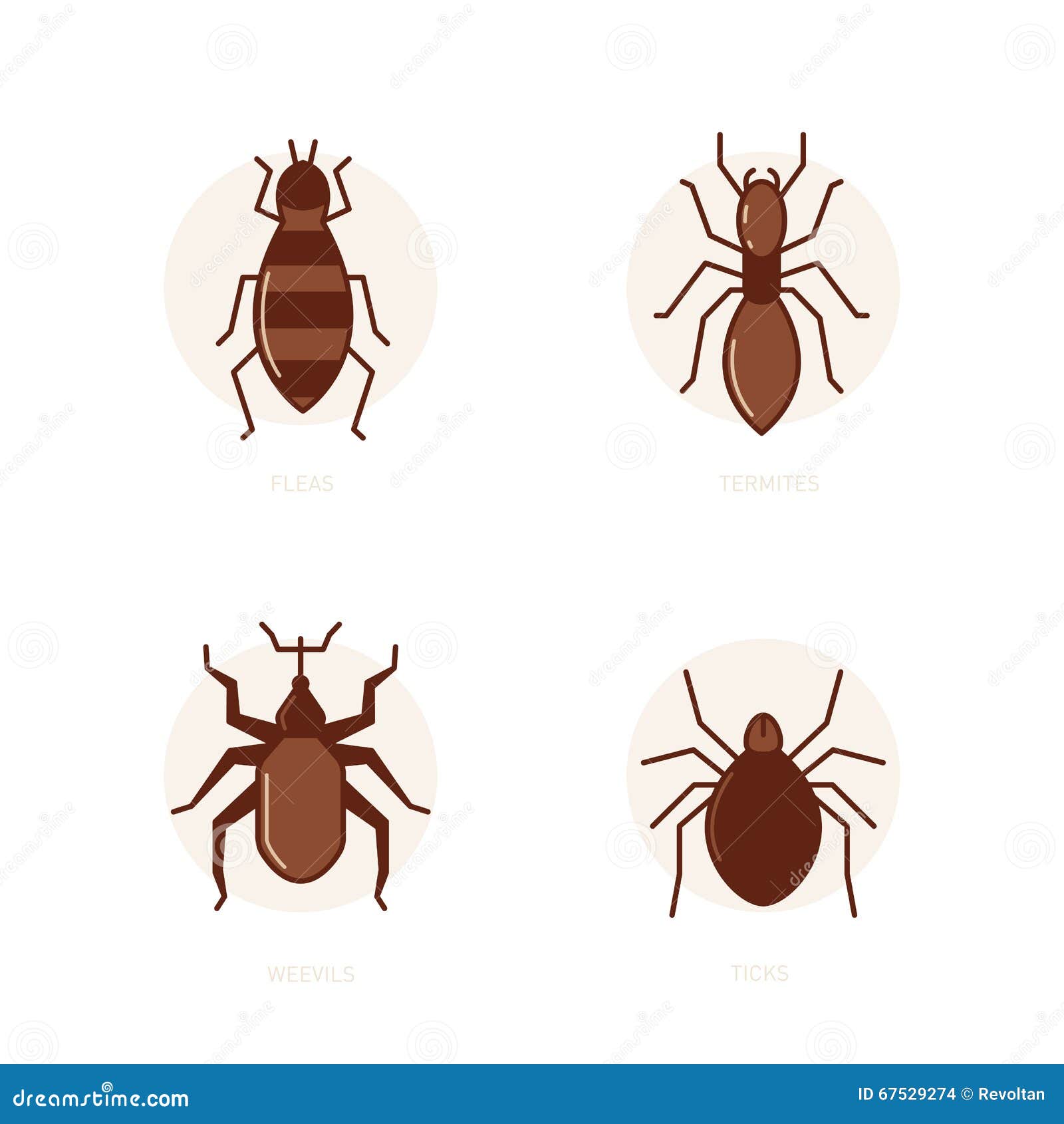 Fleas, Termites, Weevils, Ticks Stock Vector - Illustration of rodent ...