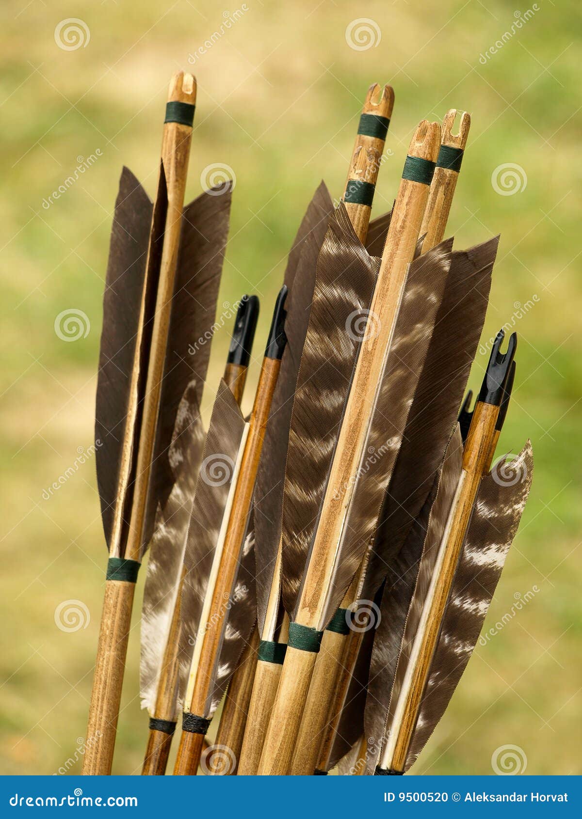 Flechas foto de archivo. Imagen de manojo, eliminado, madera - 9500520