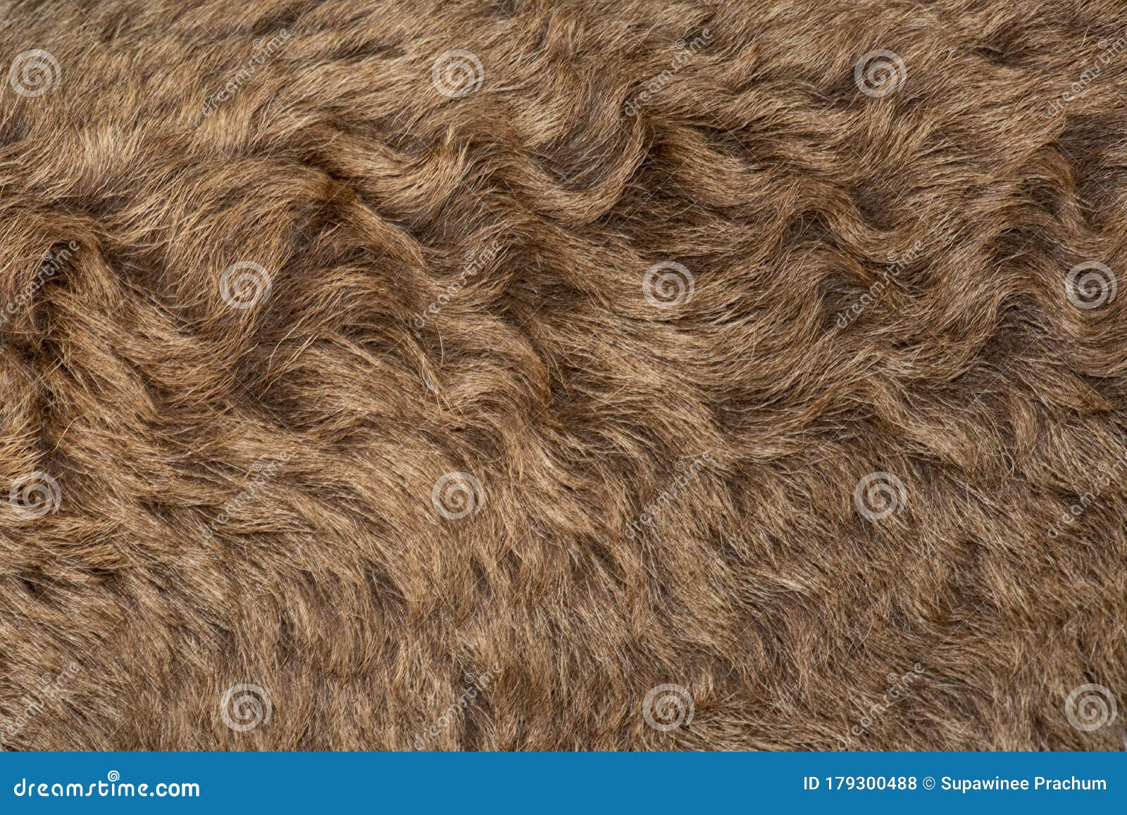 Fleece Brown,Close Up of Fleece, Exture Background Stock Photo - Image ...