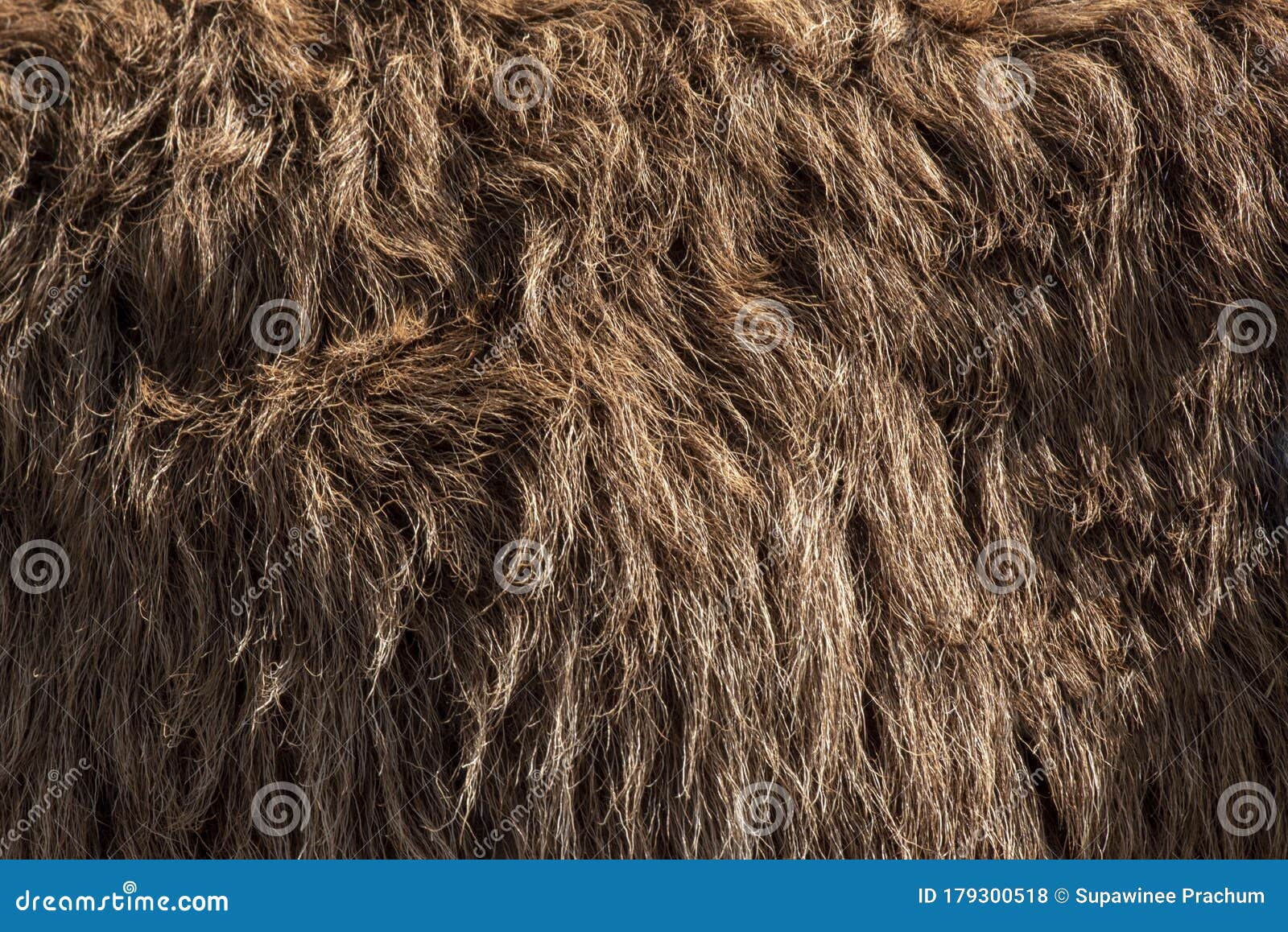 Fleece Brown,Close Up of Fleece, Exture Background Stock Photo - Image ...