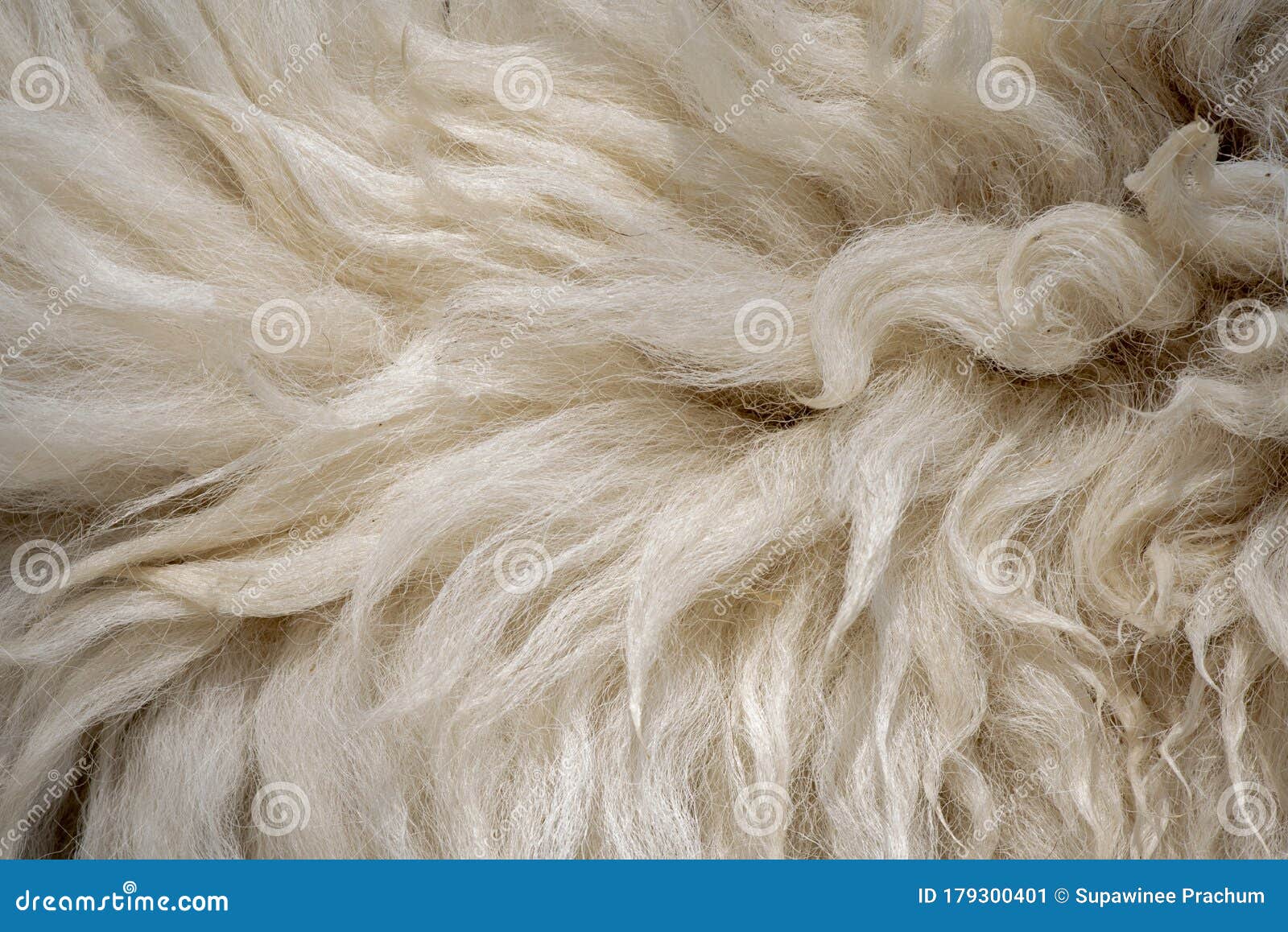 Fleece White,Close Up of Fleece, Exture Background Stock Image - Image ...