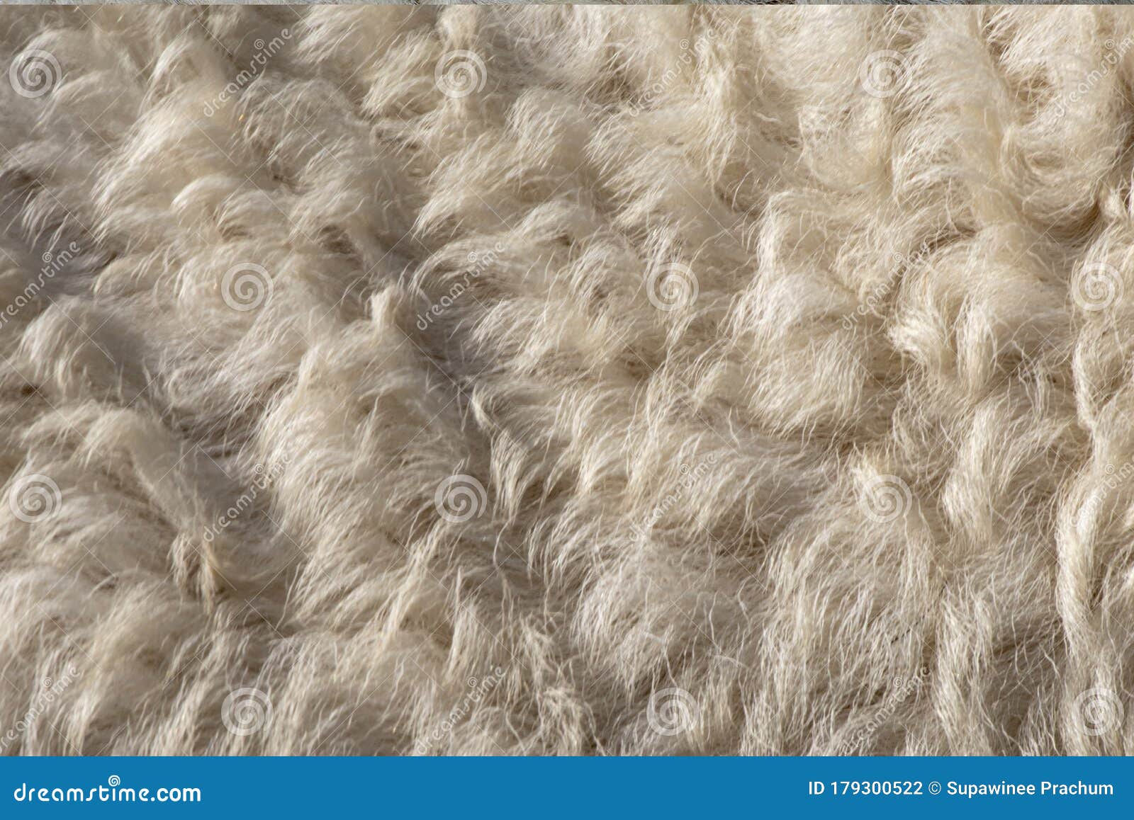 Fleece White,Close Up of Fleece, Exture Background Stock Photo - Image ...