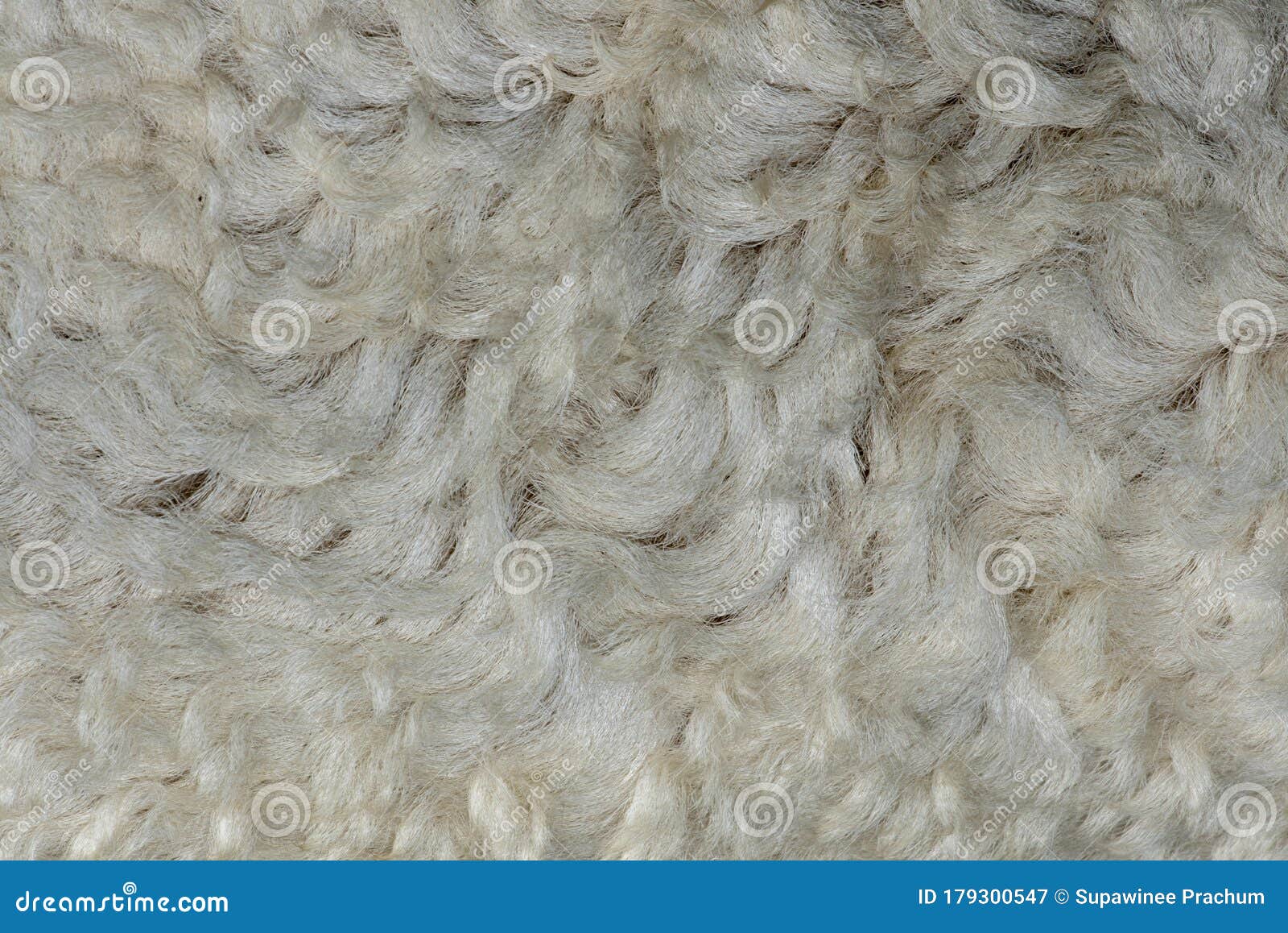 Fleece White,Close Up of Fleece, Exture Background Stock Image - Image ...