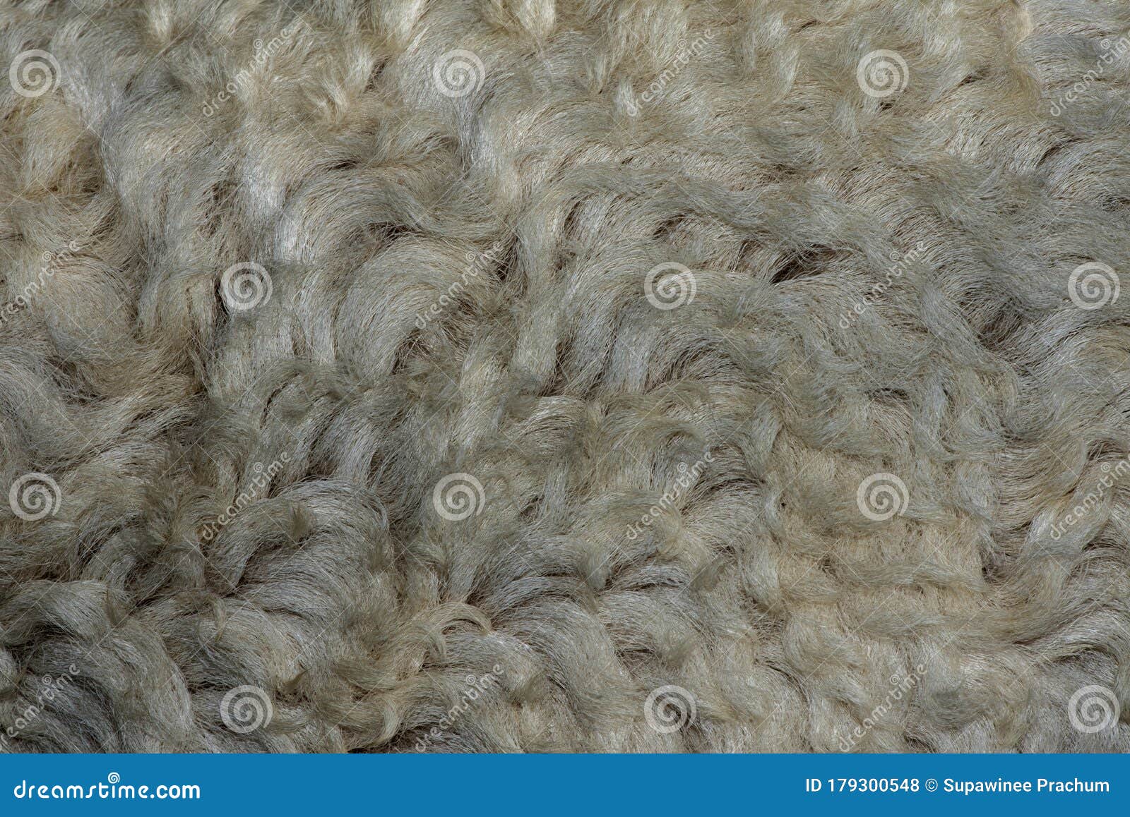Fleece White,Close Up of Fleece, Exture Background Stock Photo - Image ...