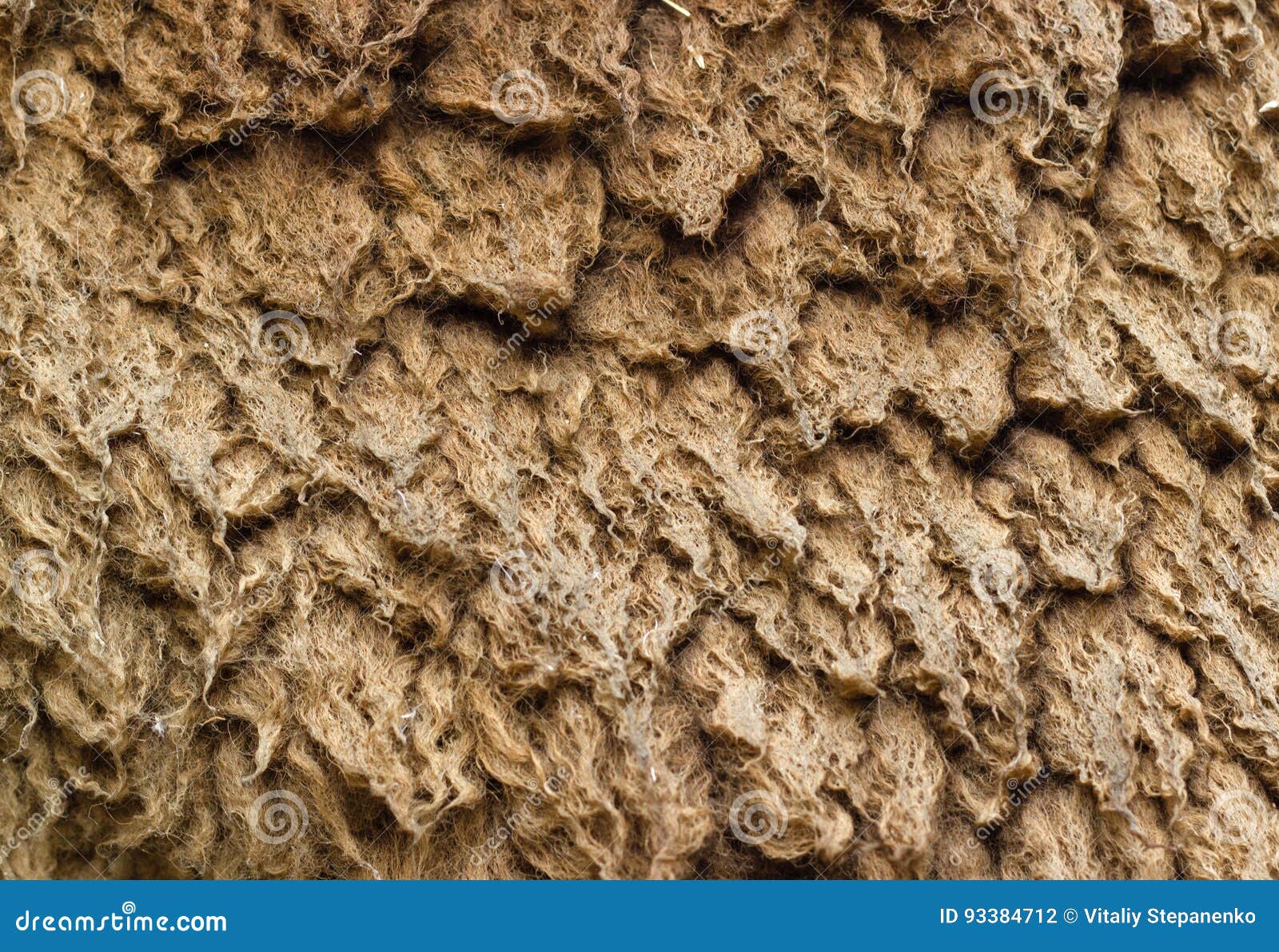 Fleece wool background stock photo. Image of textured - 93384712