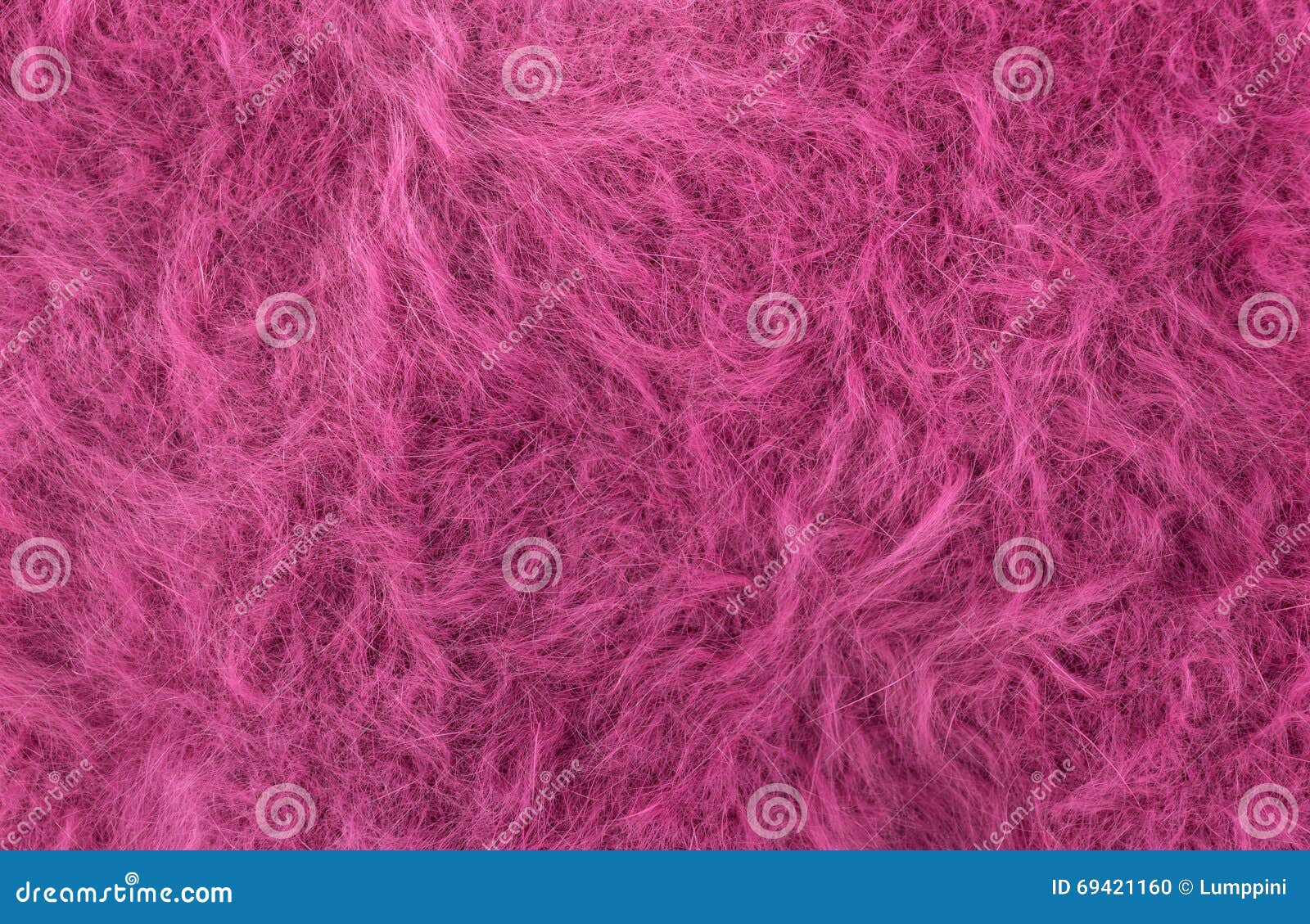 164 Angora Fur Texture Stock Photos - Free & Royalty-Free Stock Photos ...