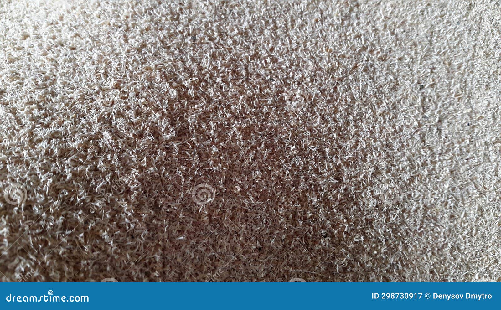 The Fuzzy Background Of Lake Lielezers Of Augstroze With Thick Trees In ...