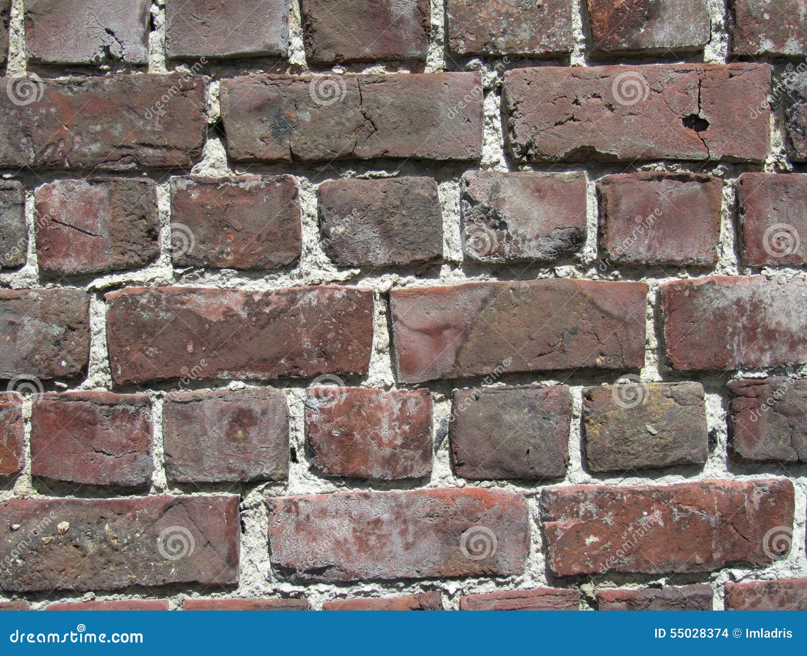 Flemish Bond Brickwork stock photo. Image of vintage - 55028374