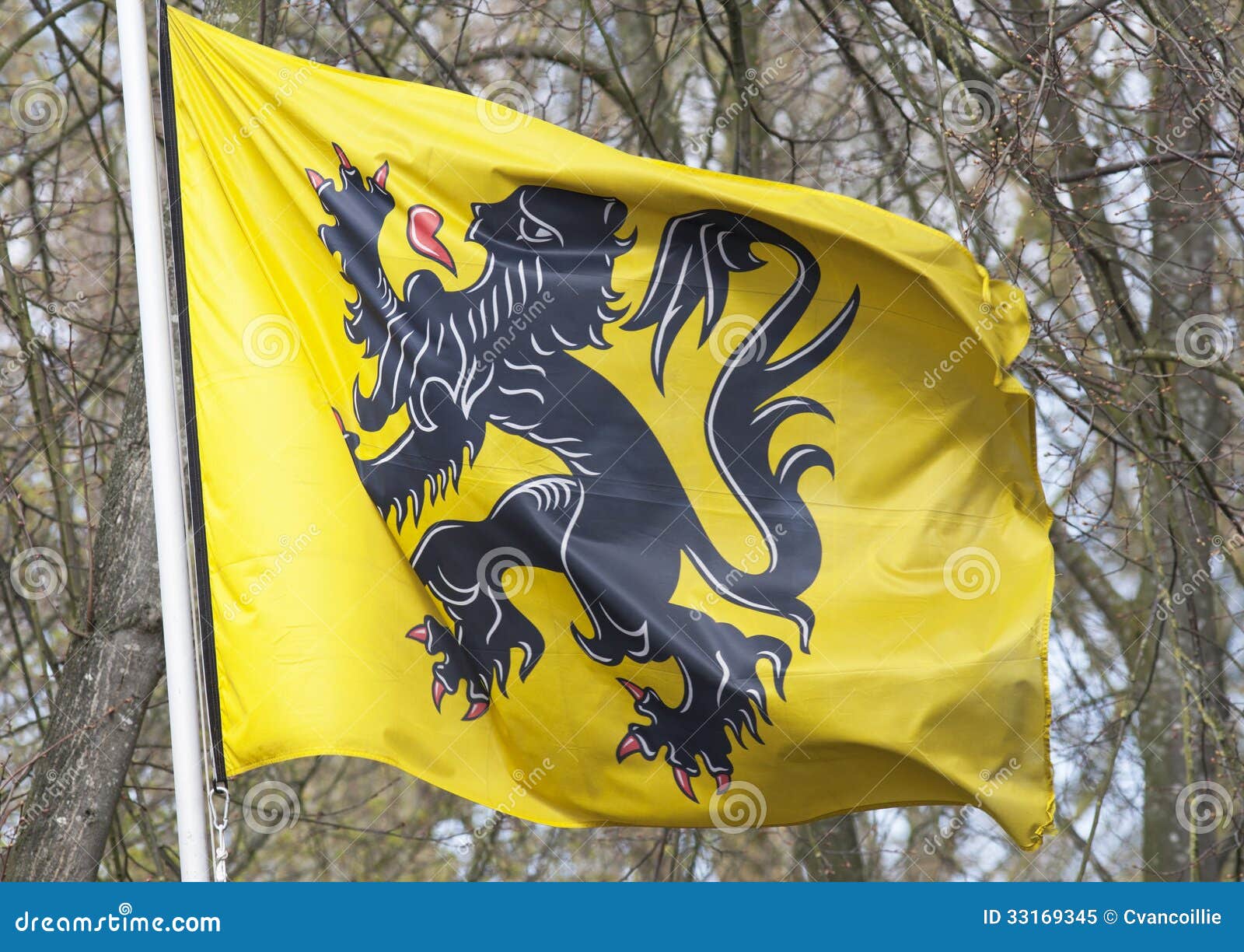 Flemish flag stock image. Image of black, belgium, yellow - 33169345