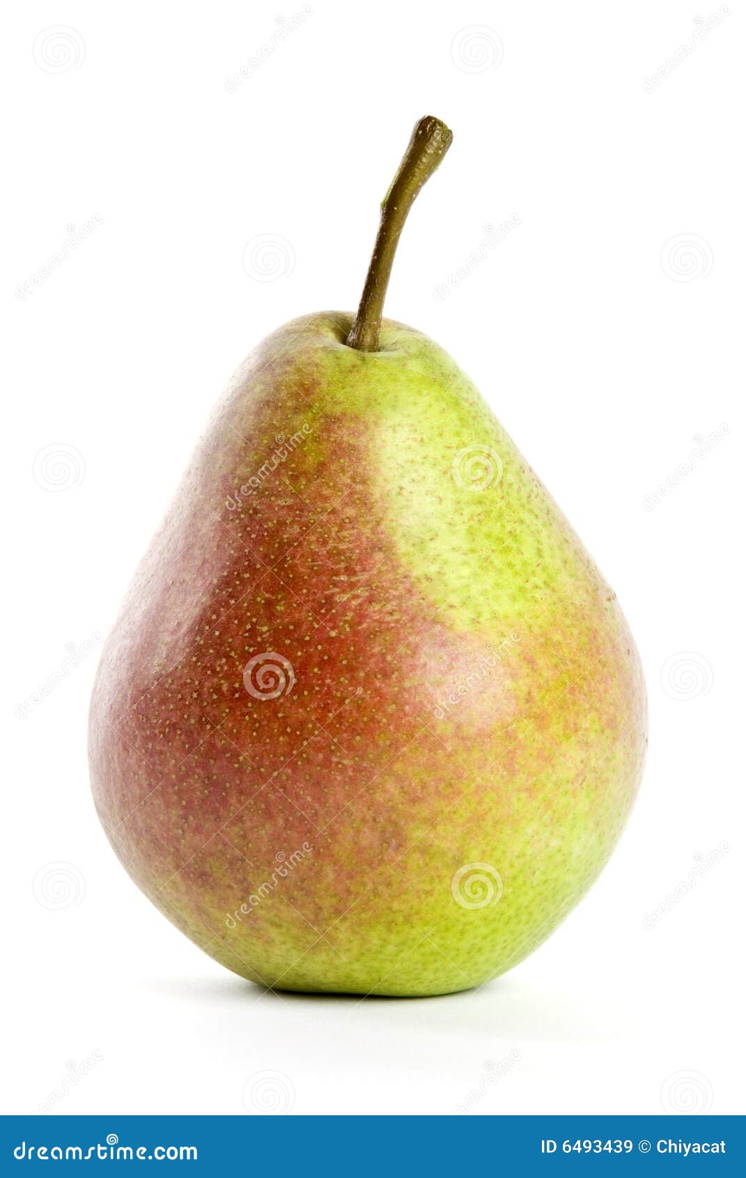 Flemish Pear stock image. Image of autumn, green, fall - 6493439