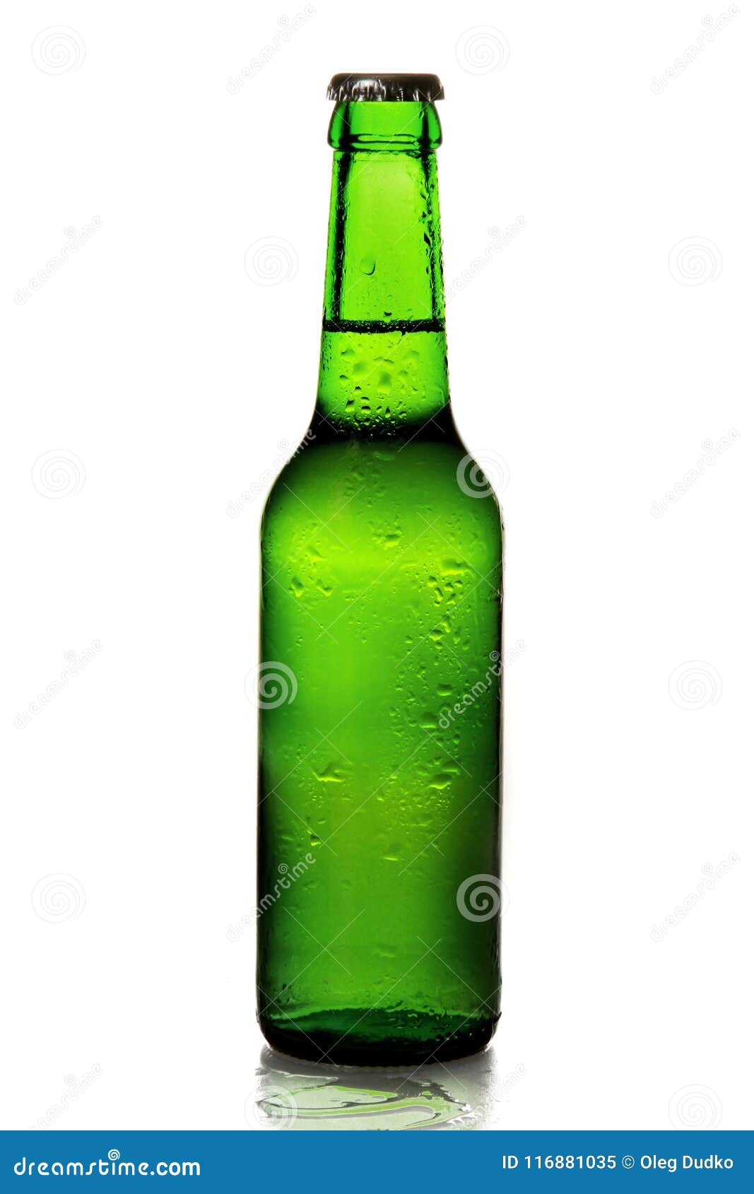 Fles bier stock afbeelding. Image of trekking, alcohol - 116881035