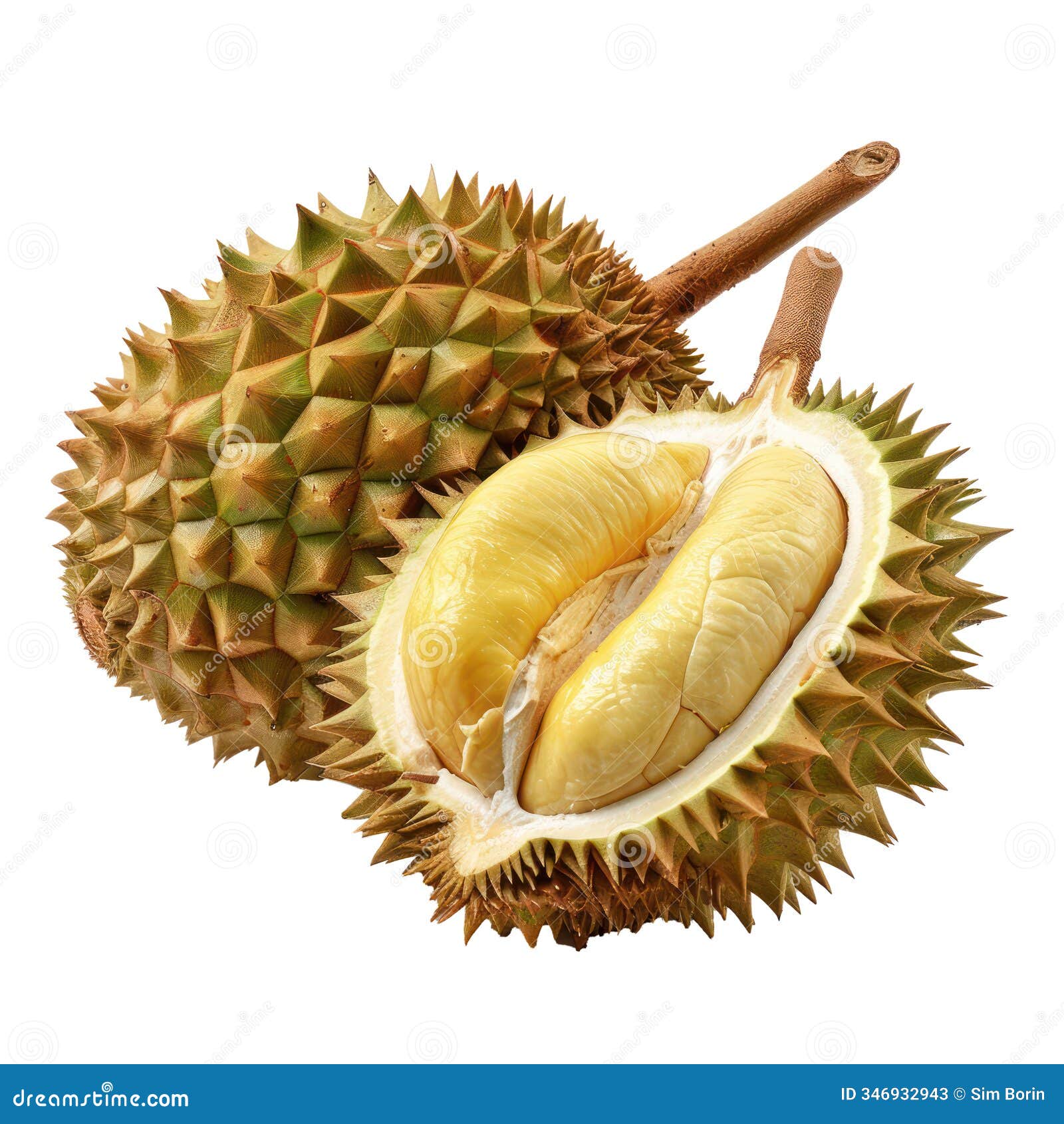 Flesh of Durian Fruit Isolate on Transparency Stock Illustration ...