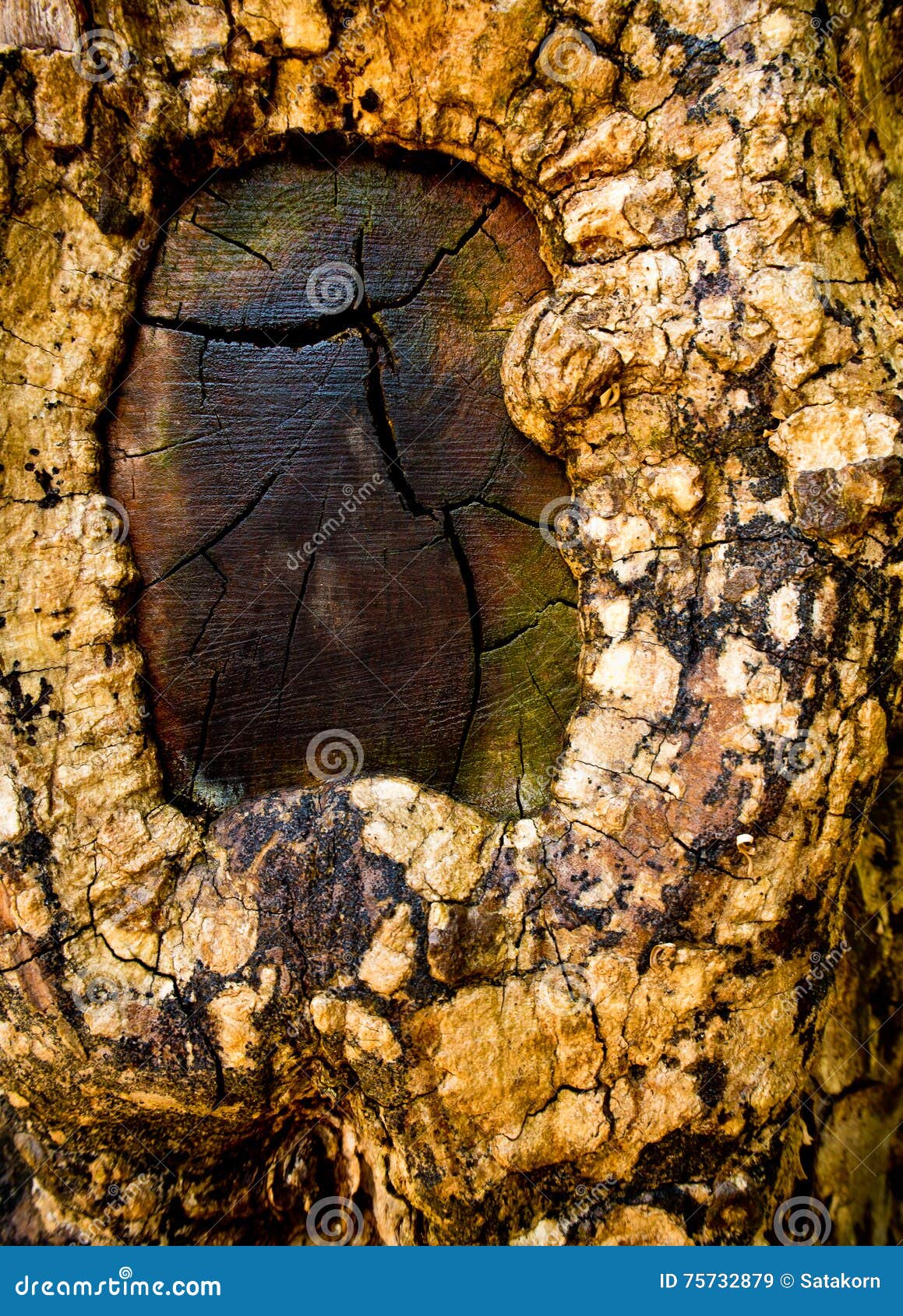 Flesh Wound Texture Stock Photos - Download 129 Images