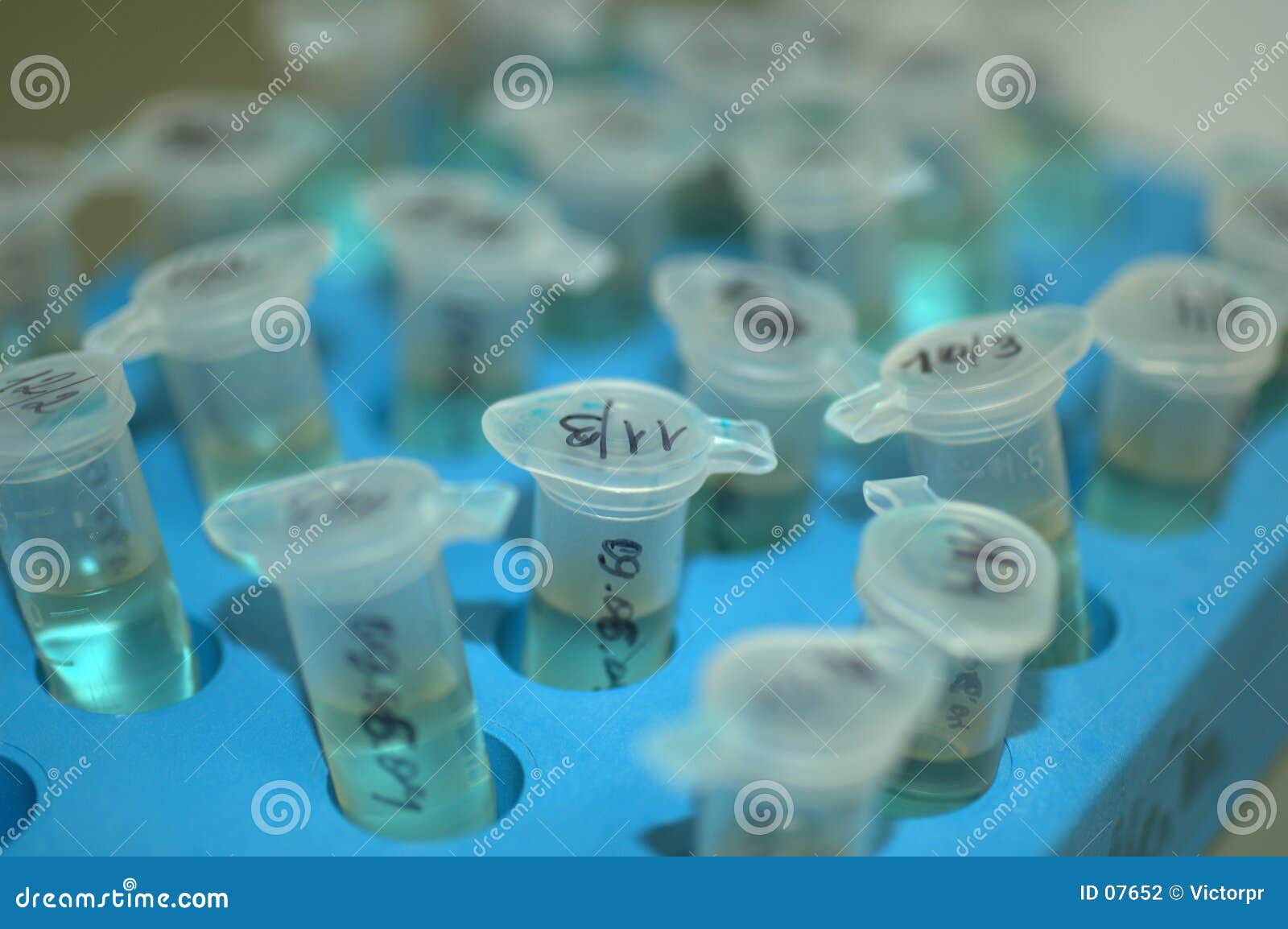 Flessen 3 Van Het Laboratorium Stock Foto - Image of flesje, plastiek: 7652