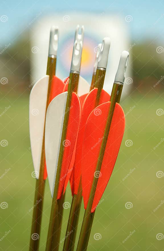 Fletched Arrows stock image. Image of orange, outside - 17934855