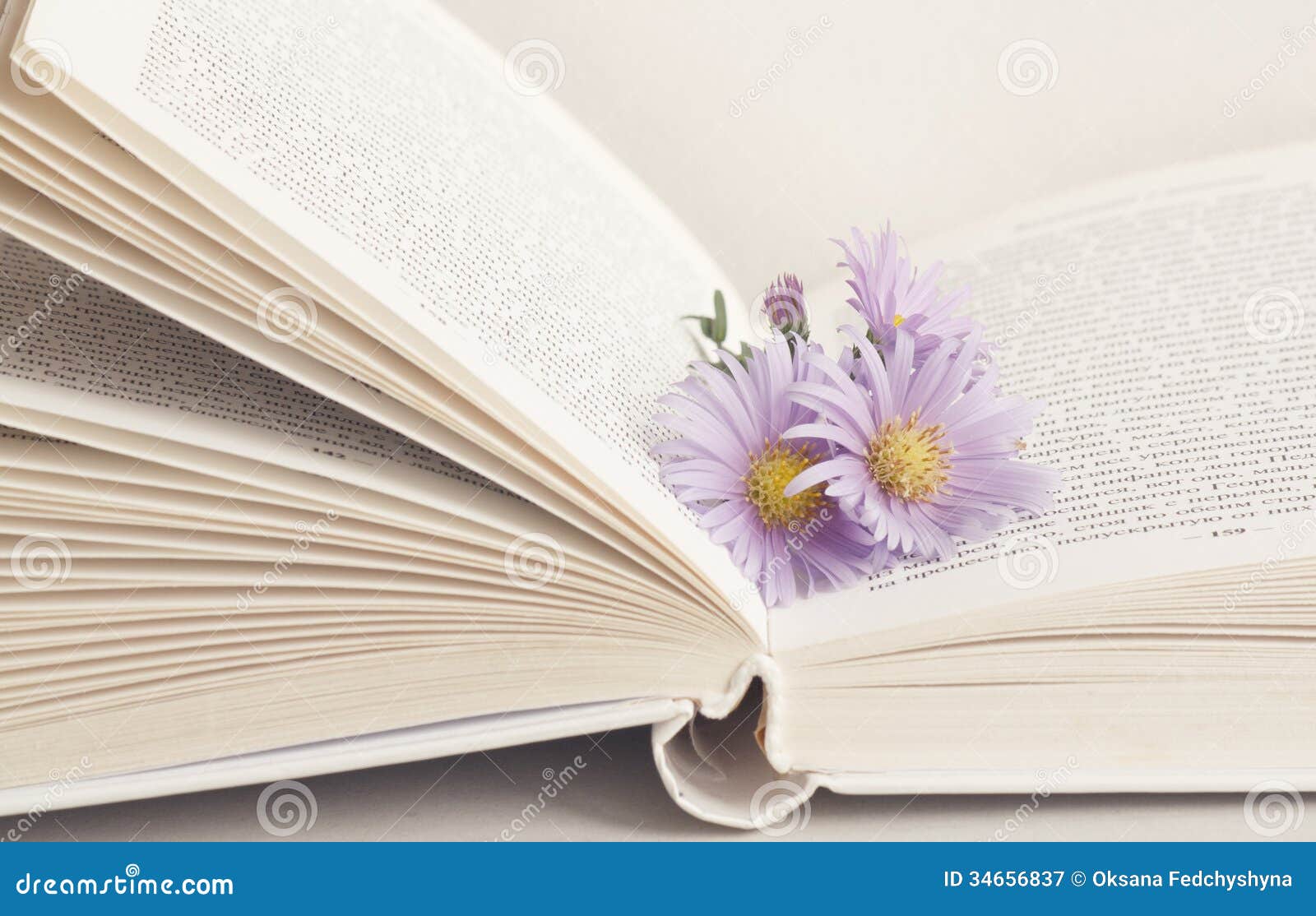 Fleur Dans Le Livre Ouvert Photos Stock - Téléchargez 749 Photos libres ...
