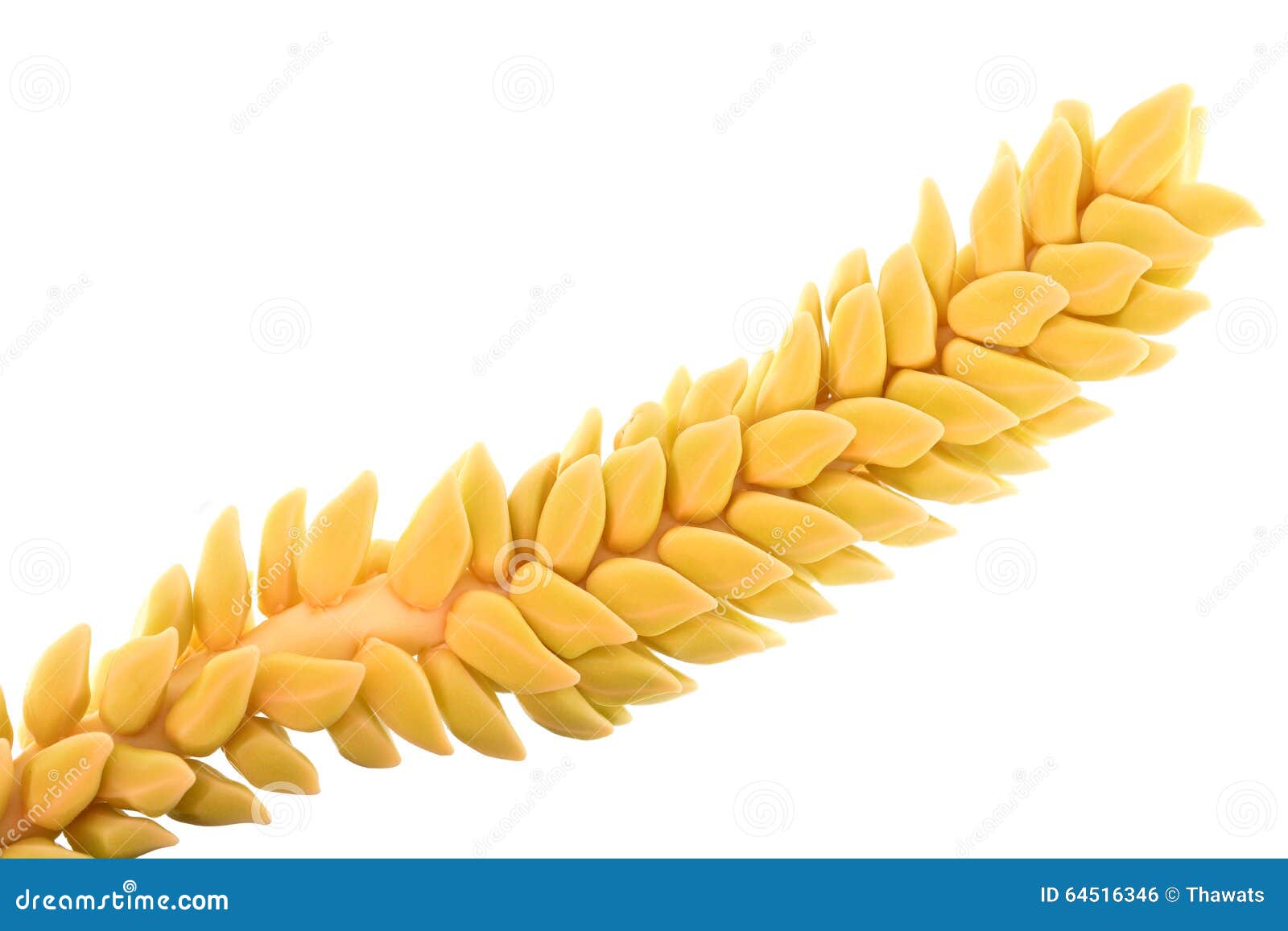 Fleur de cocotier photo stock. Image du coconut, botanique - 64516346