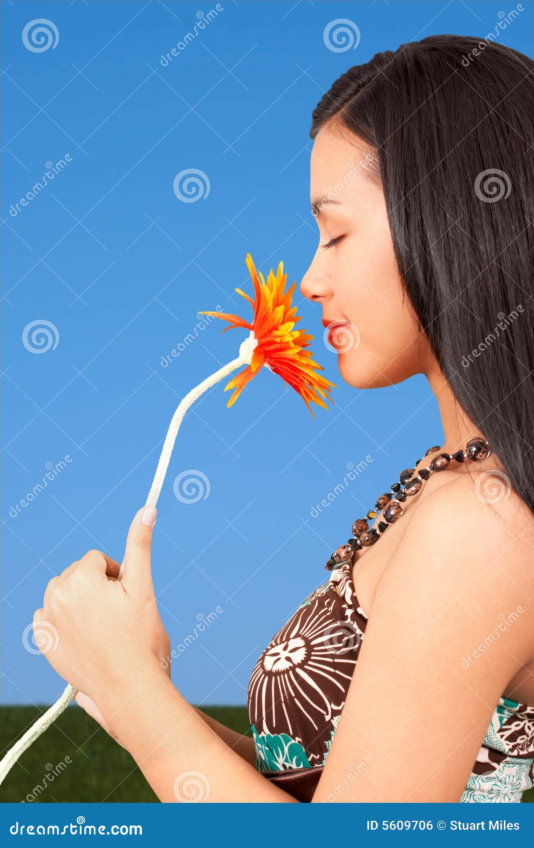 Fleur de fixation de fille photo stock. Image du dame - 5609706