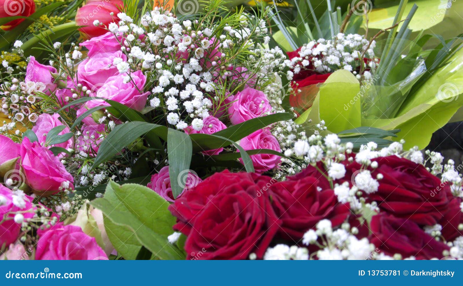 Fleurs D'amour Image stock - Image: 13753781