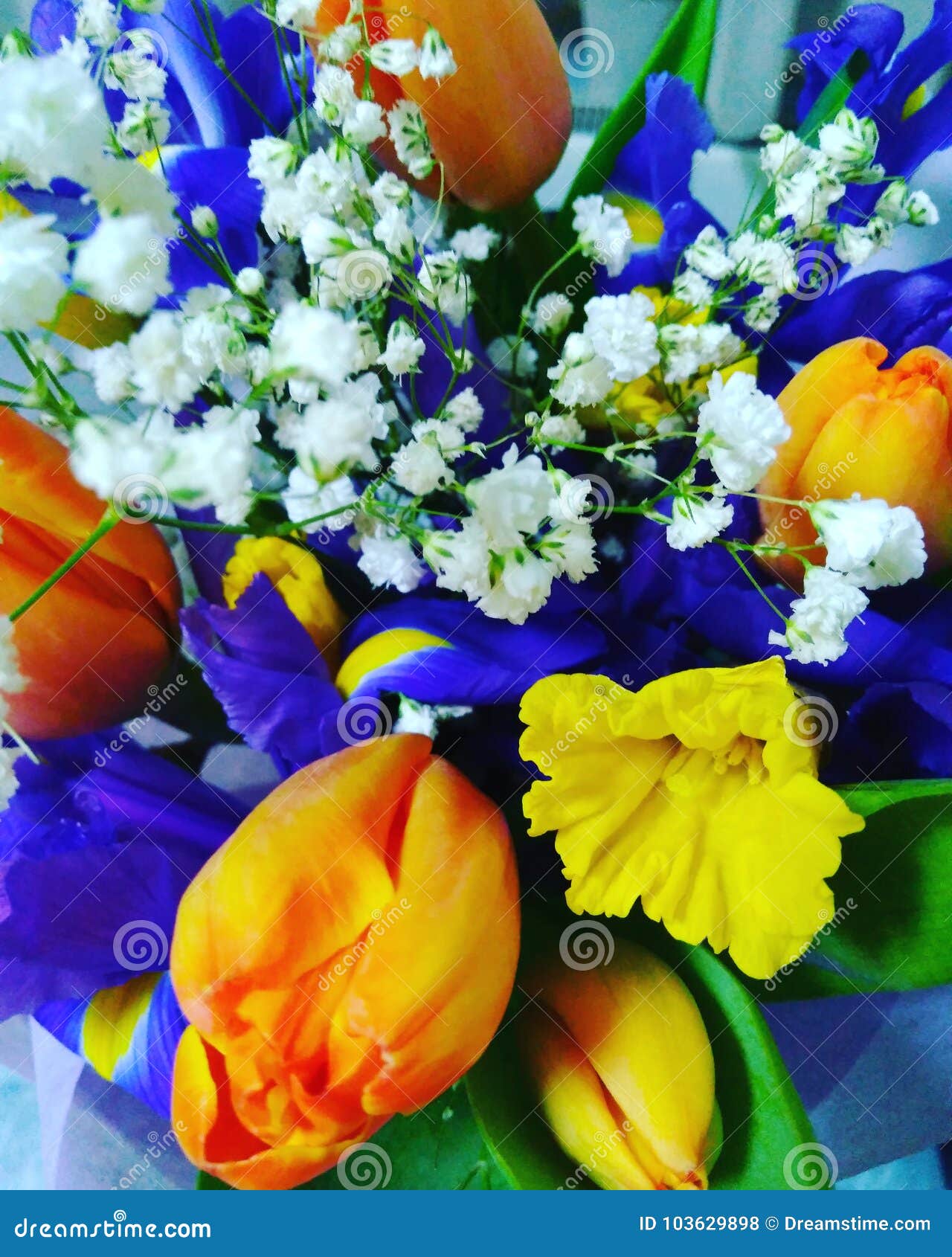 Fleurs, Flowers, Spring, Yellow, Spray Stock Photo - Image of spring ...