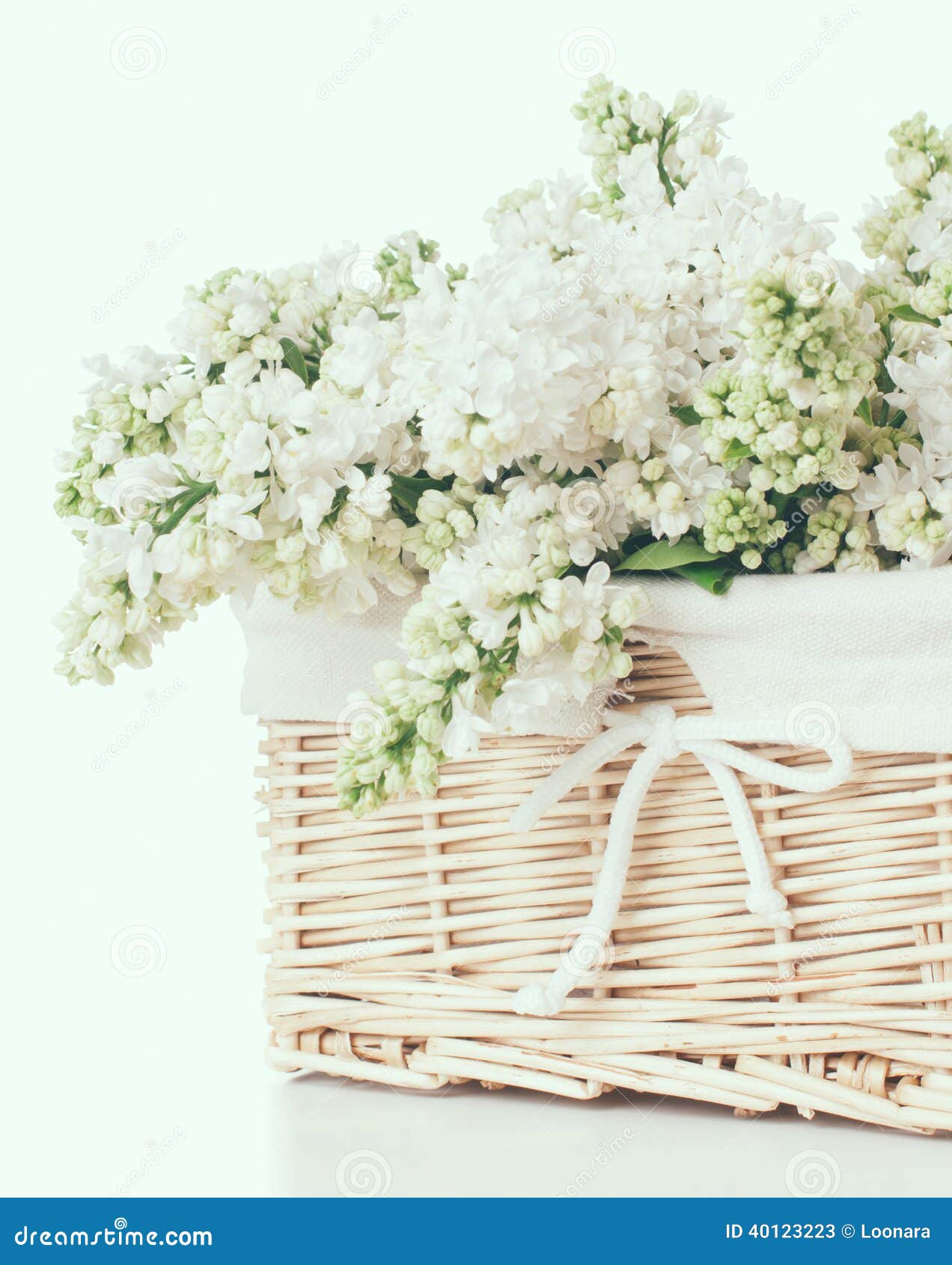 Fleurs Lilas Blanches Dans Un Panier En Osier Image stock - Image du ...