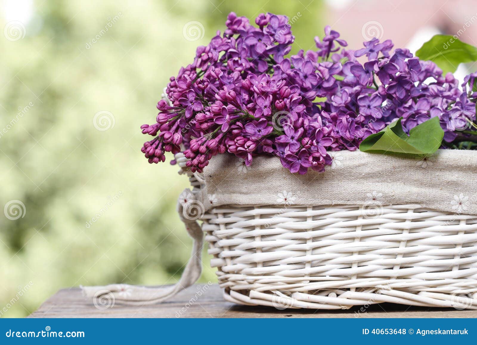 Fleurs Lilas Dans Le Panier En Osier Blanc Photo stock - Image du ...