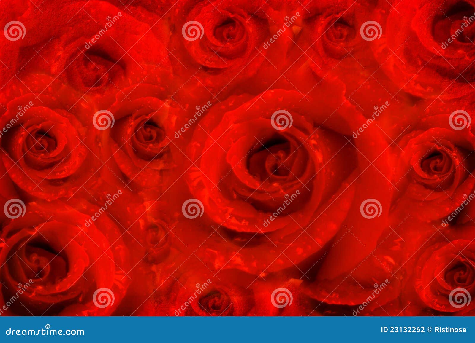 Fleurs Roses De Fond, Passion Rouge Photo stock - Image du grunge ...
