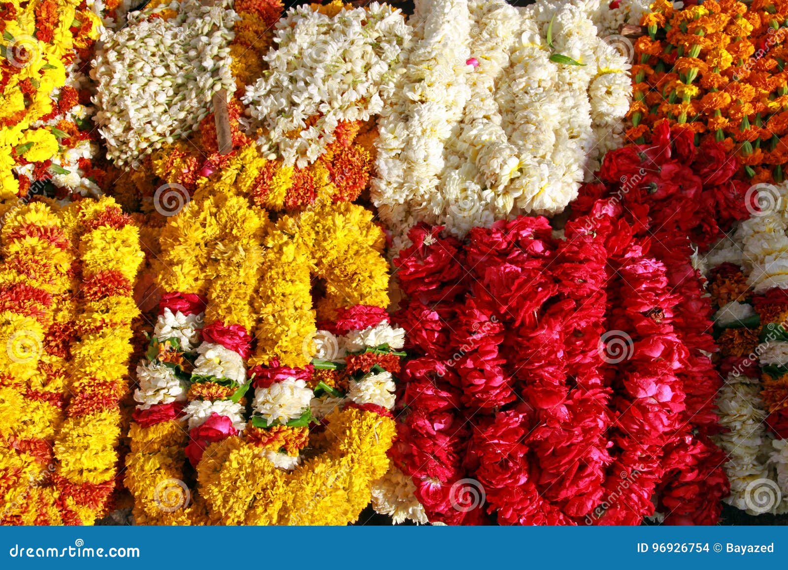 Fleurs Indiennes Photos Stock - Téléchargez 575 Photos libres de droits