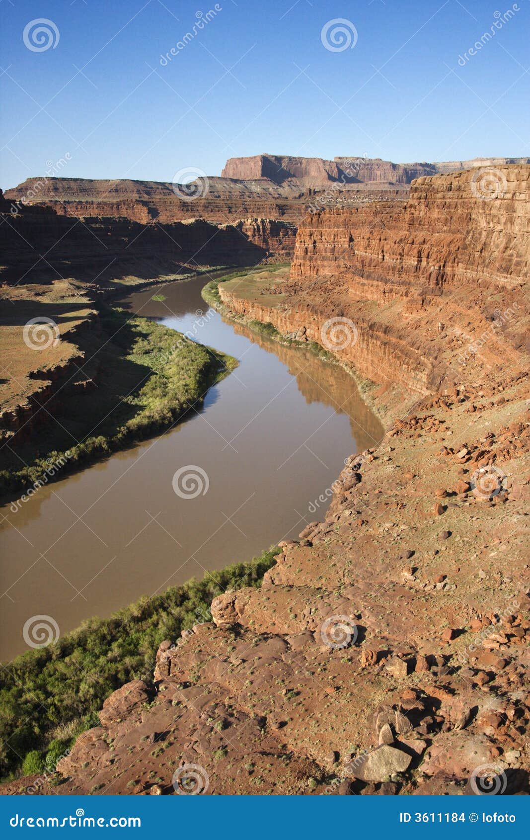 Fleuve Colorado. photo stock. Image du nature, côté, paysage - 3611184