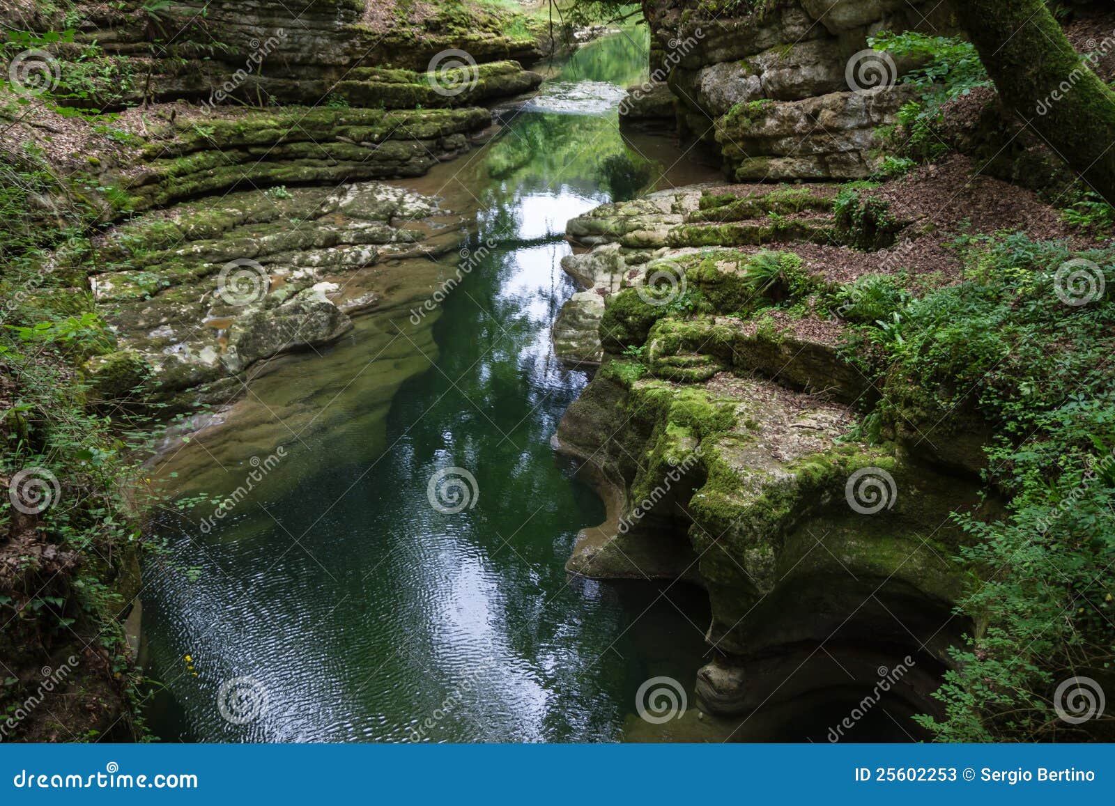 Fleuve en gorge ou ravin image stock. Image du roches - 25602253