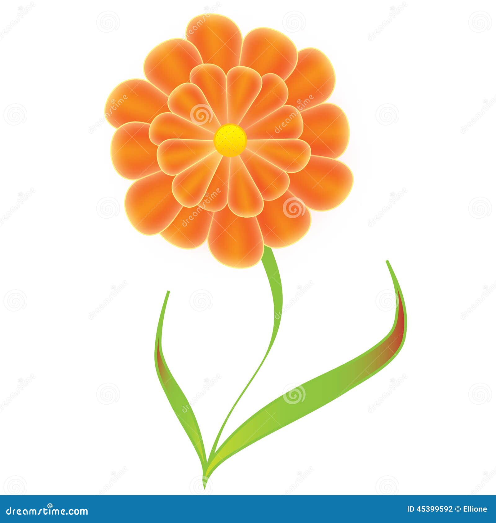 Flewer gerbera stock vector. Illustration of flora, flewer - 45399592
