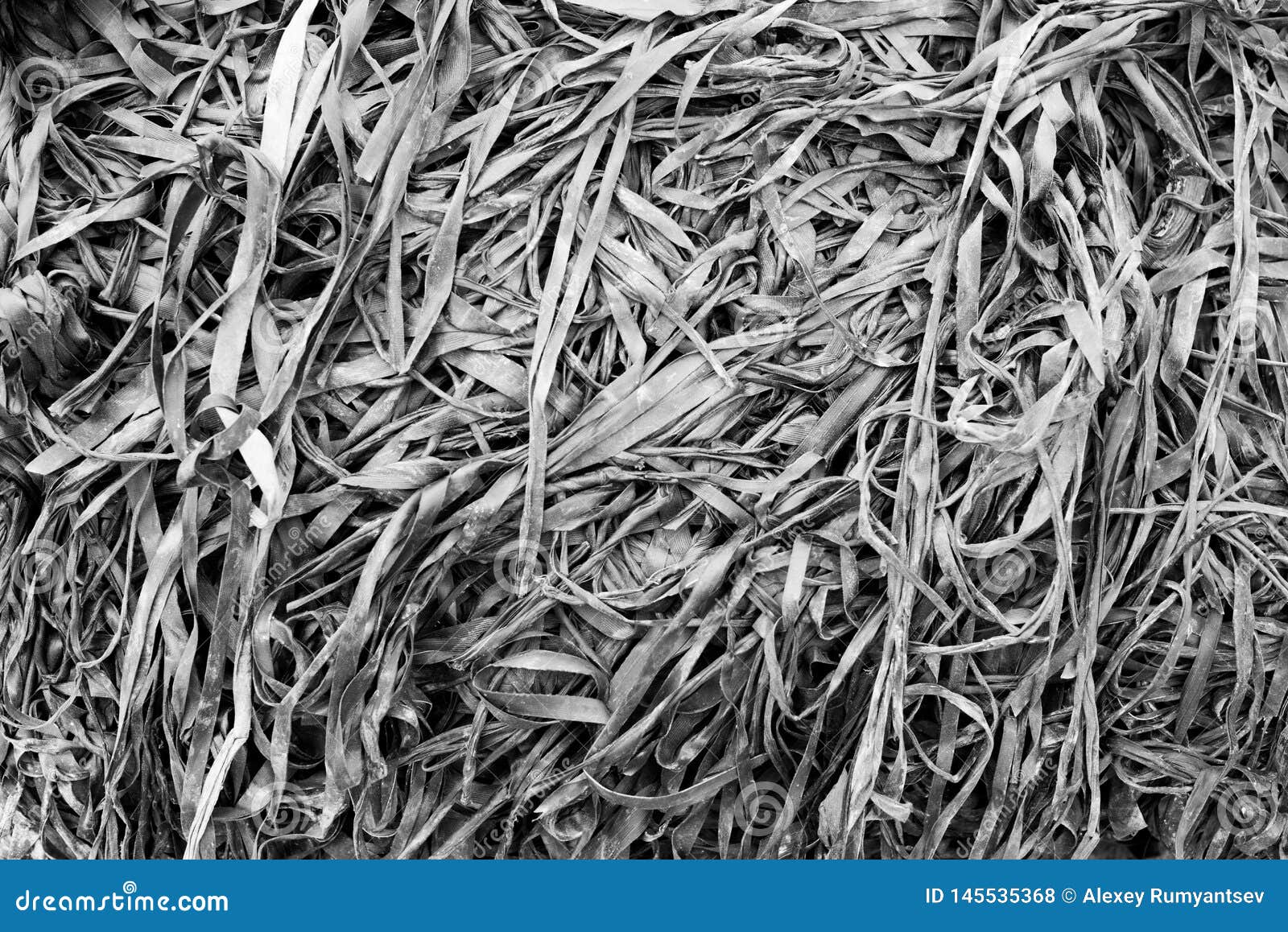 Flexible rubber texture stock photo. Image of caoutchouc - 145535368