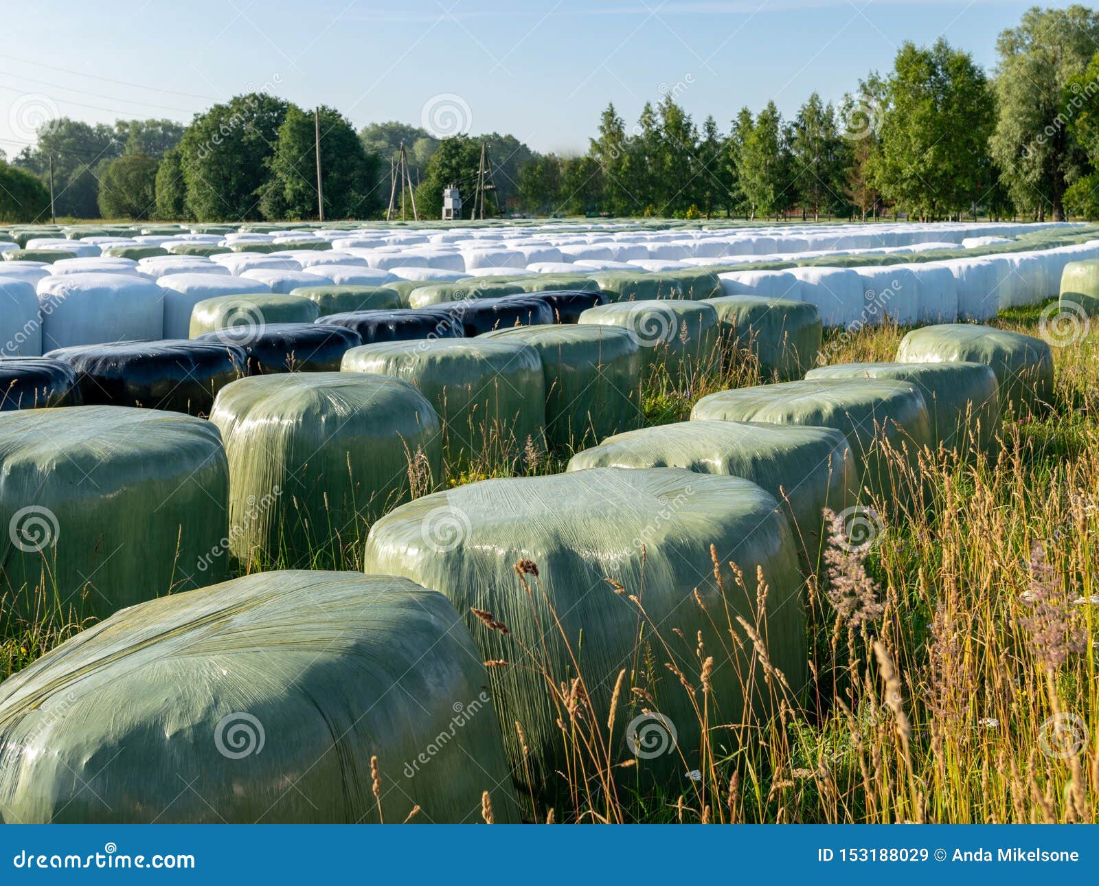 Flied panorama stock image. Image of autumn, background - 153188029