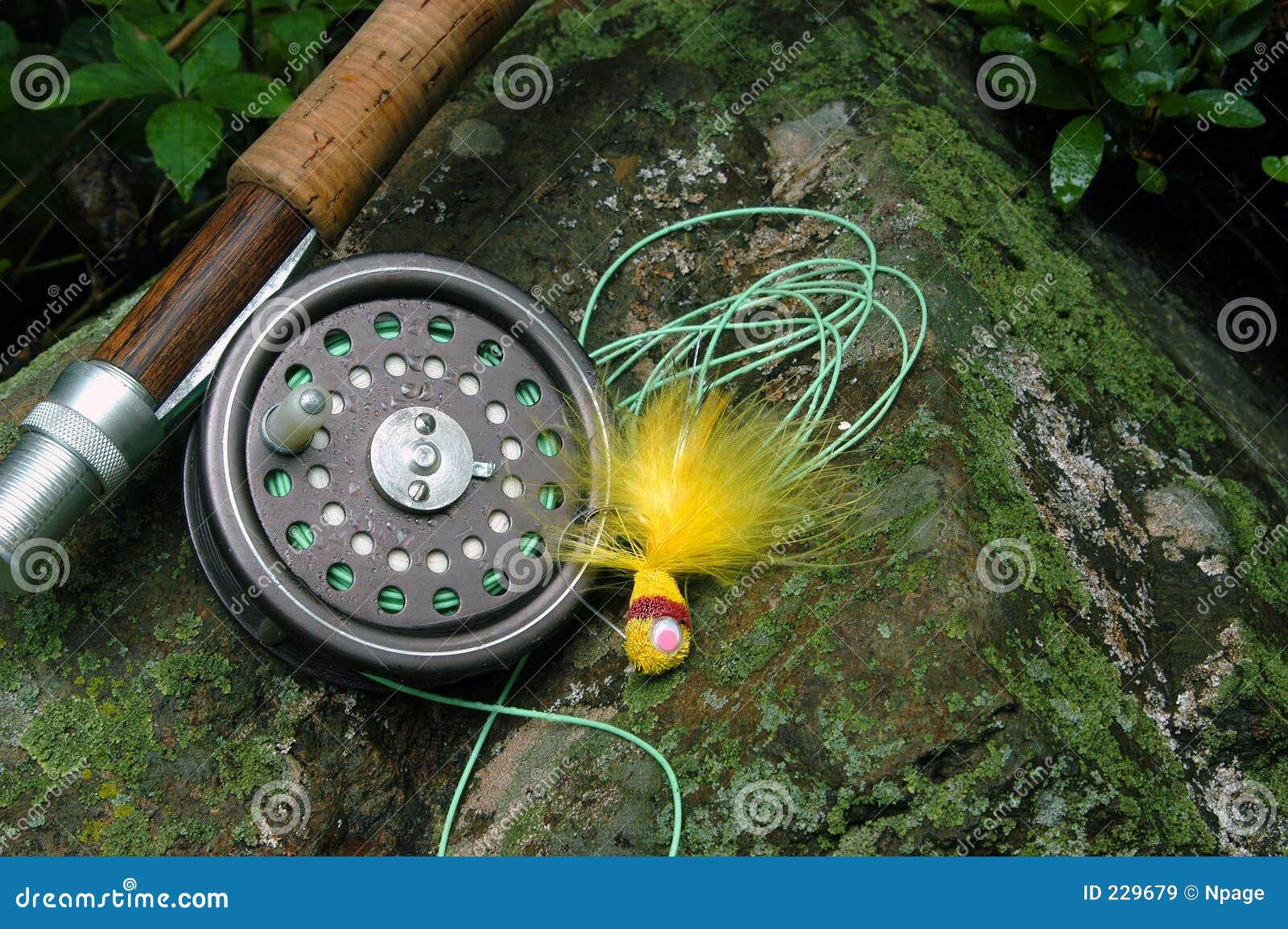Fliegen-Fischen stockbild. Bild von köder, zeile, draussen - 229679 Fliegen-Fischen stockbild. Bild von köder, zeile, draussen - 229679
