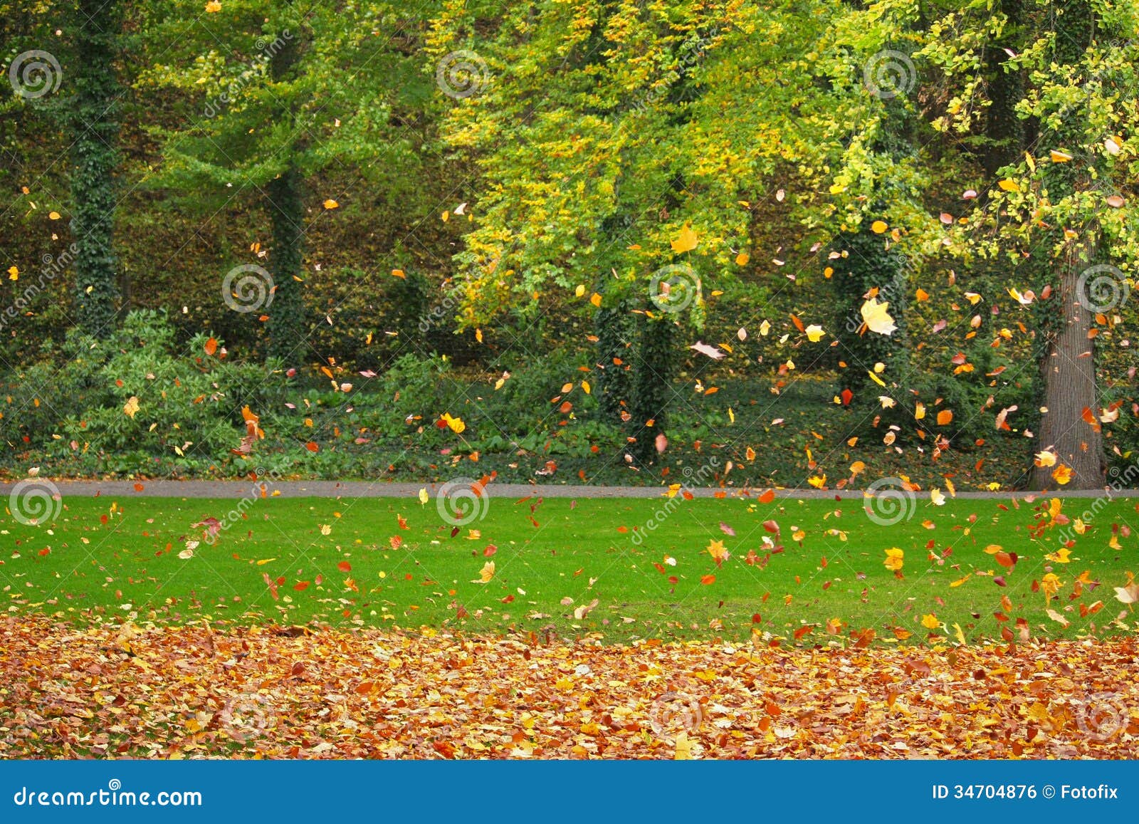 Fliegende bunte Blätter stockfoto. Bild von baum, landschaft - 34704876