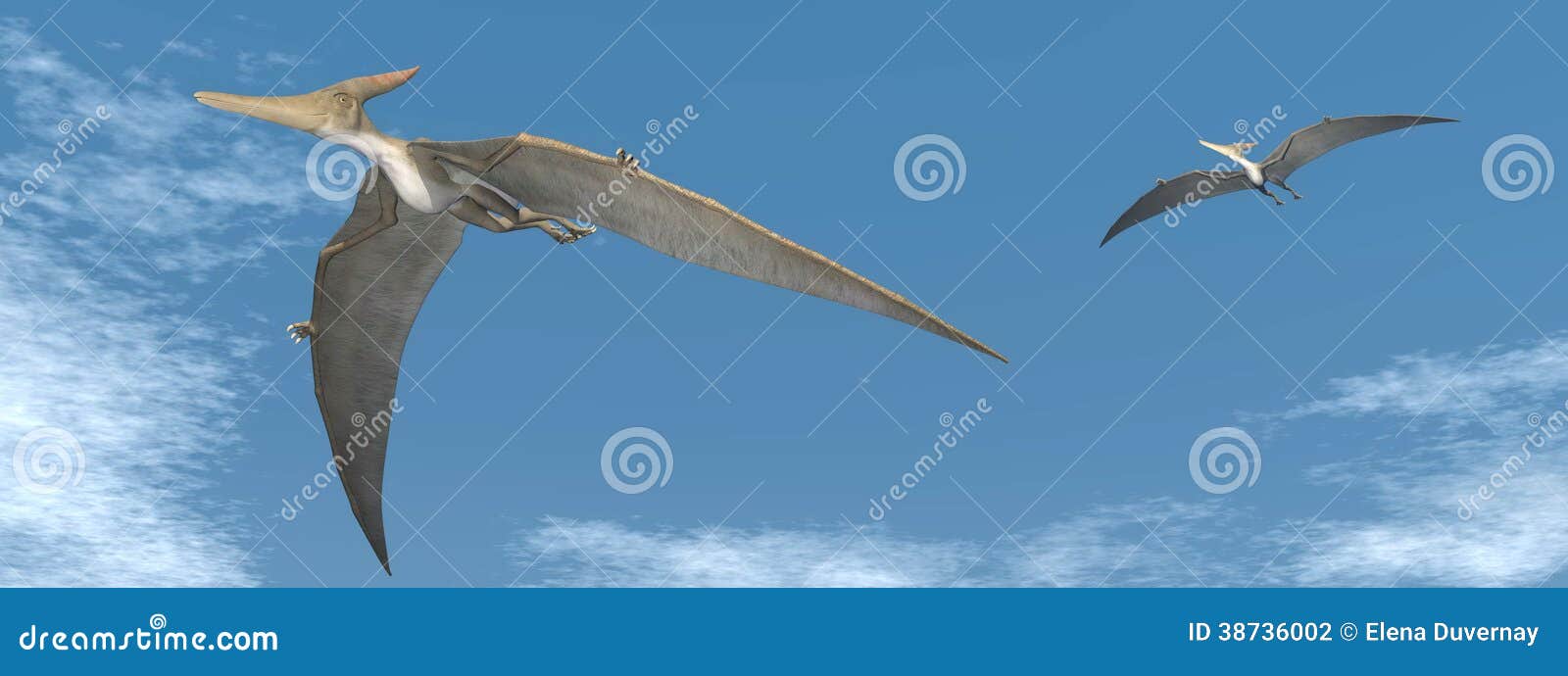 Fliegende Pteranodon-Dinosaurier - 3D übertragen Stock Abbildung - Illustration von dinosaurier ...