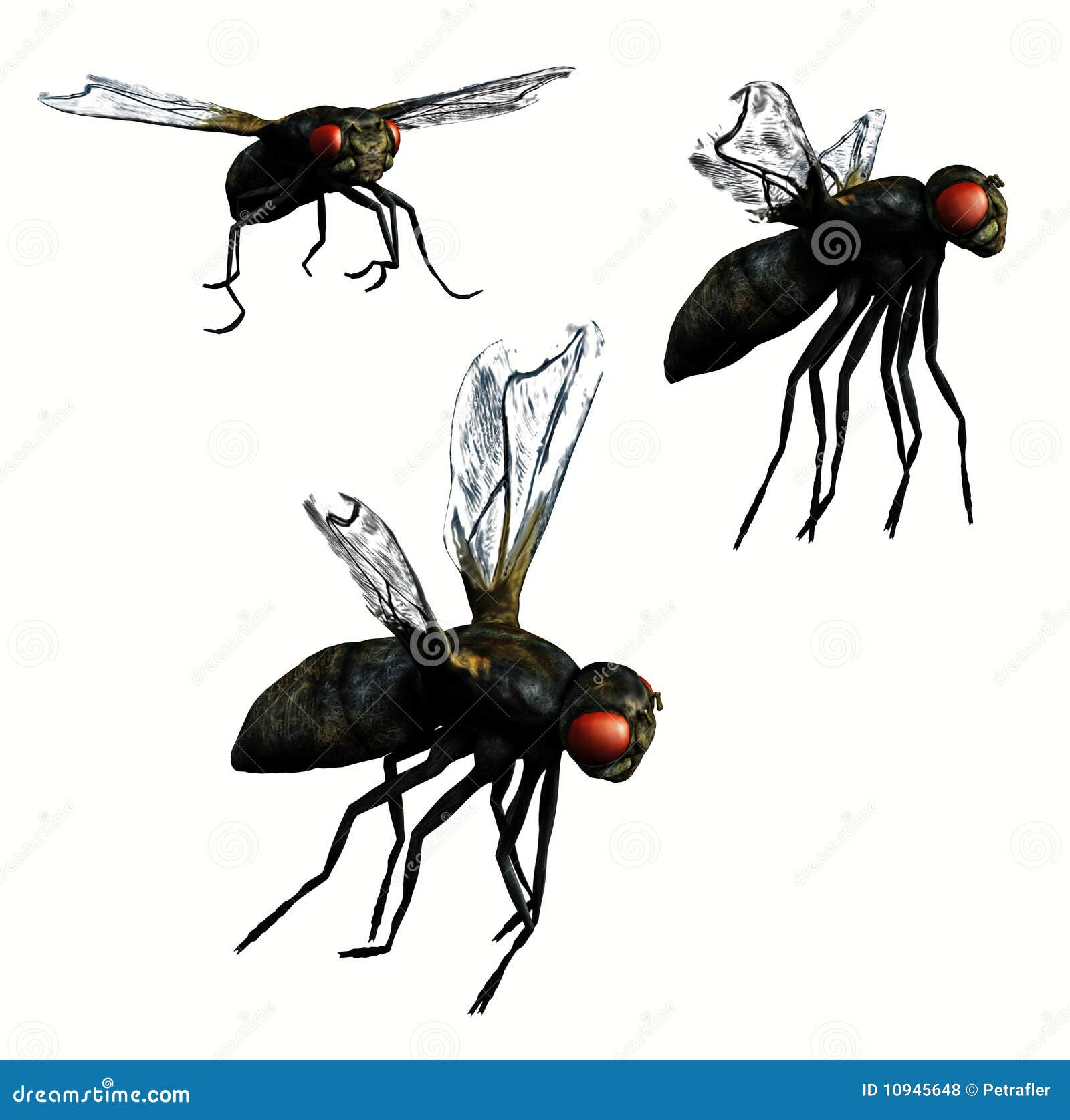 Flies stock illustration. Illustration of silhouettes - 10945648