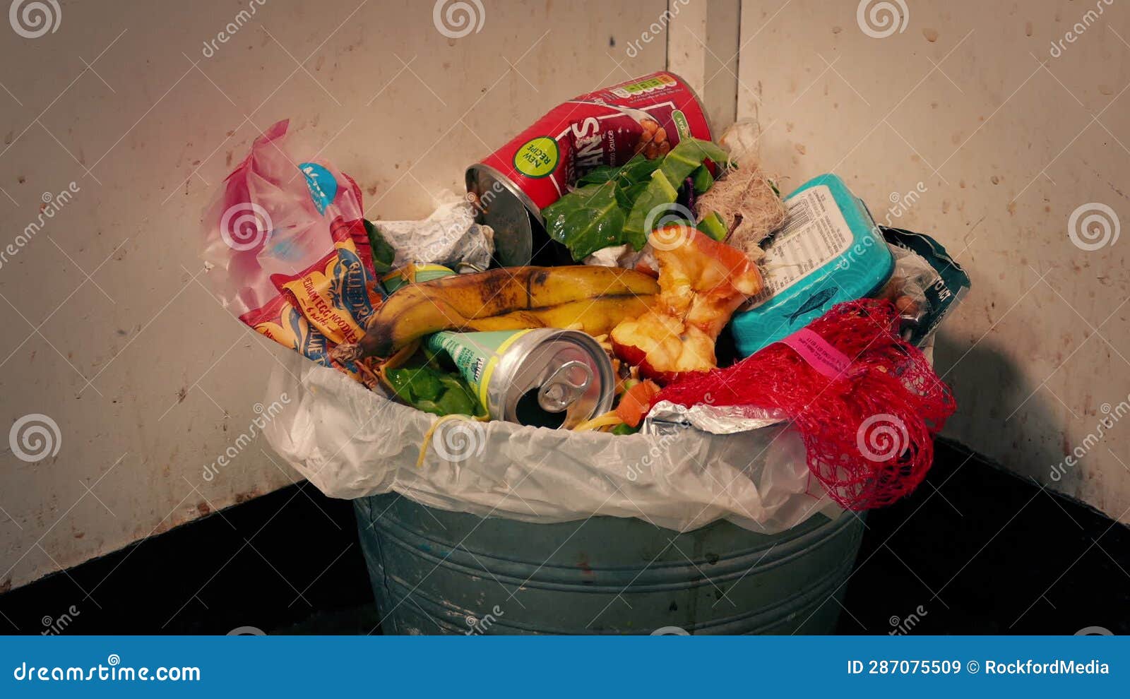 Flies Around Messy Trash Can Stock Video - Video of bedroom, trash ...