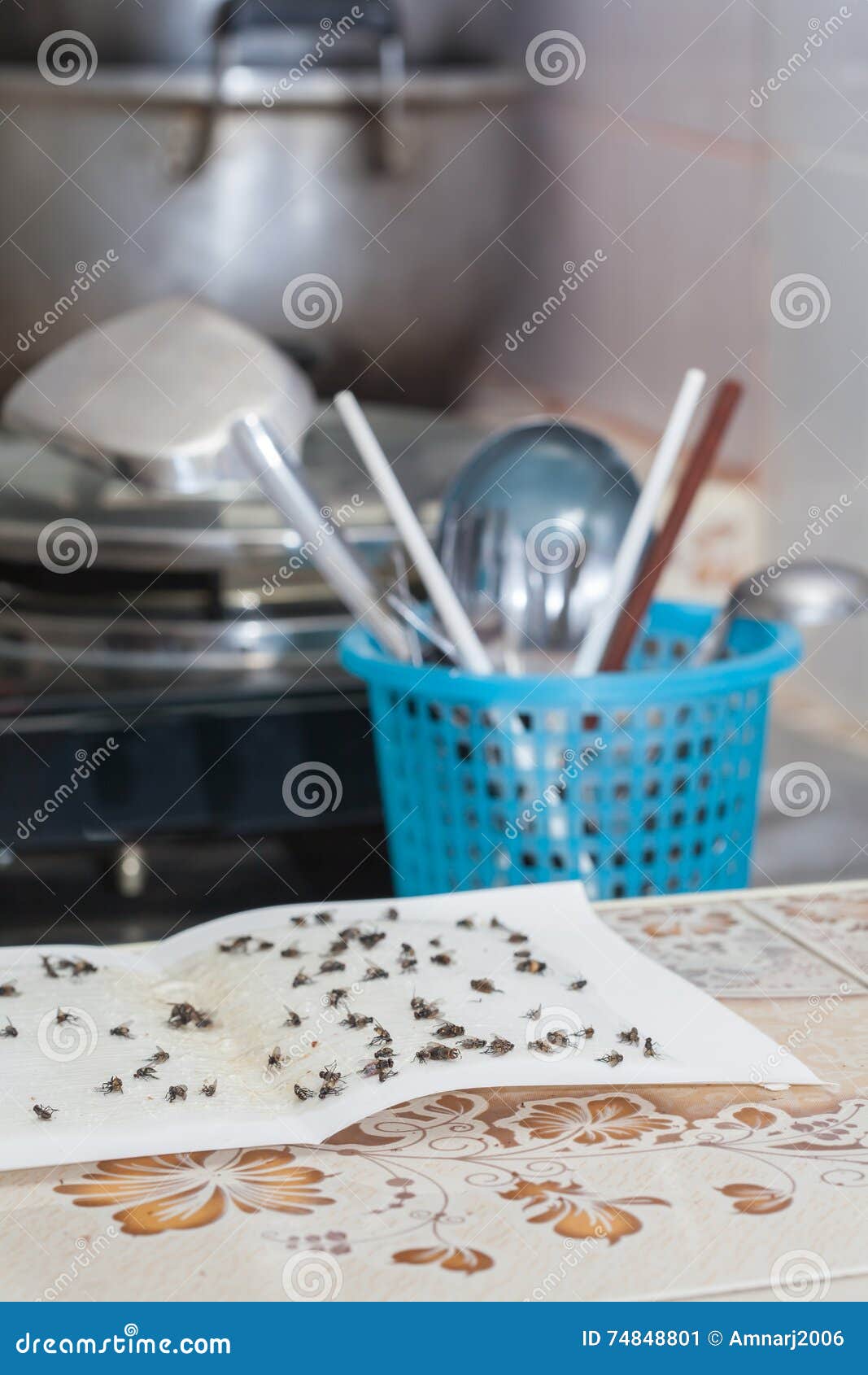 Flies Caught on White Sticky Fly Paper Stock Image - Image of glue ...