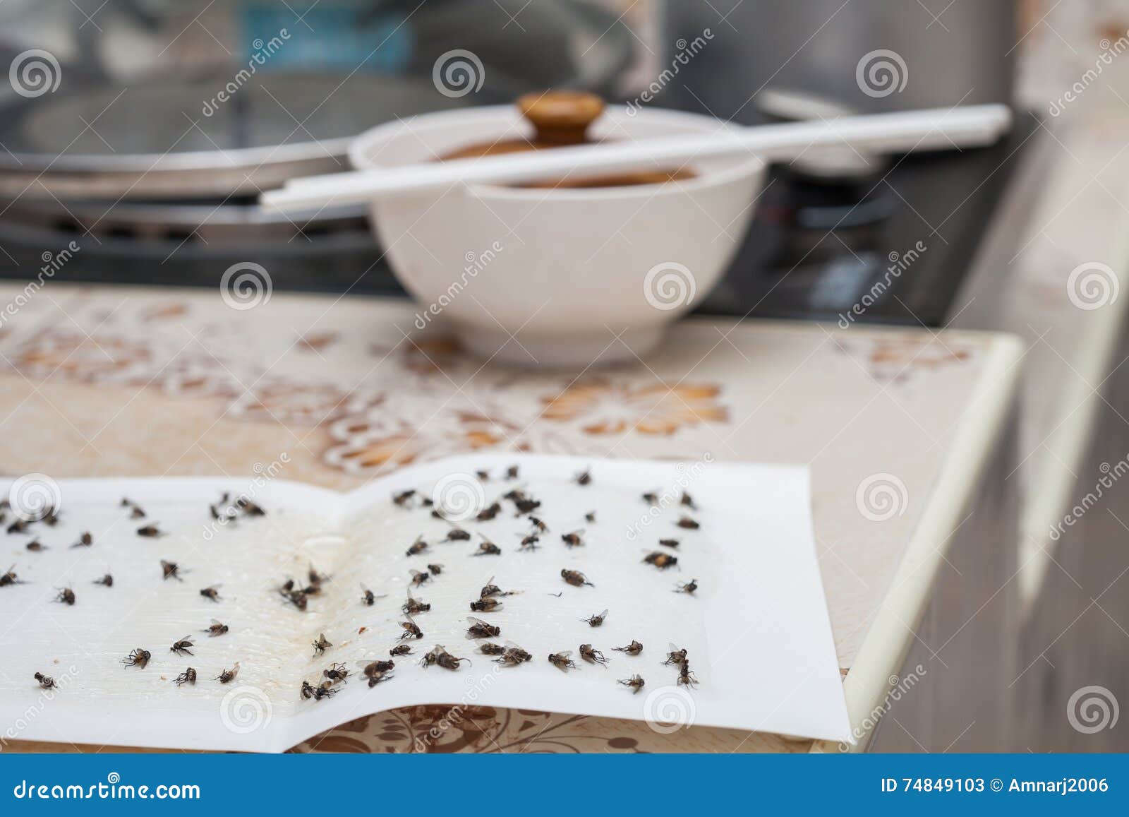 Flies Caught on White Sticky Fly Trap Stock Image - Image of closeup ...