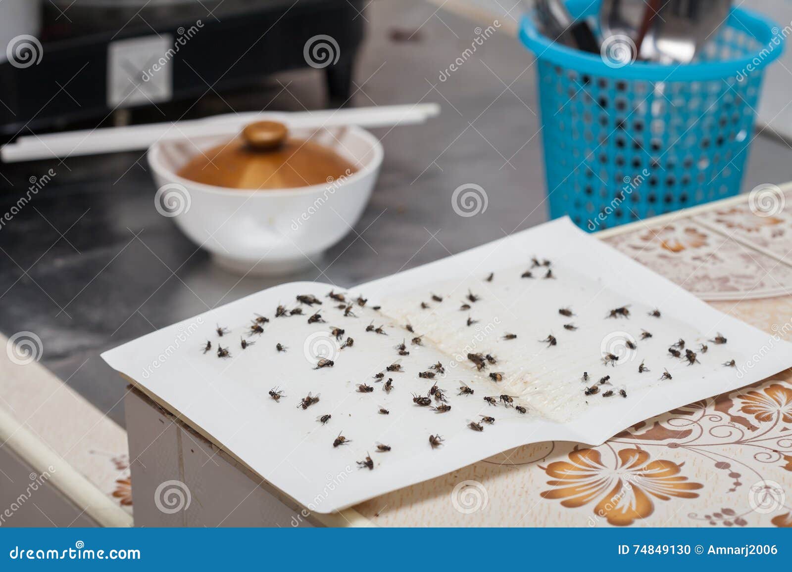Flies Caught on White Sticky Fly Trap Stock Photo - Image of stick ...