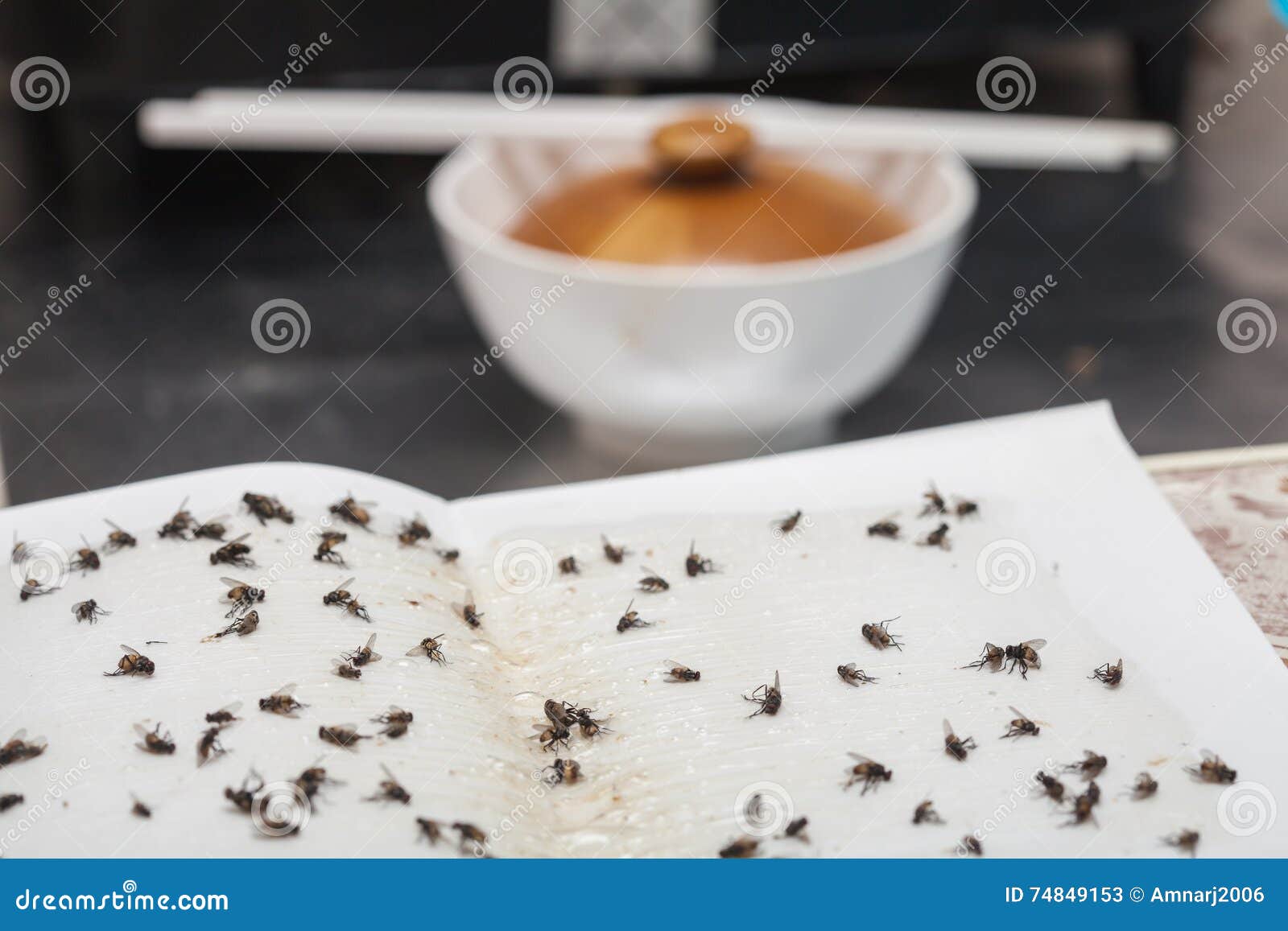 Flies Caught On Sticky Flypaper Trap Stock Image | CartoonDealer.com ...