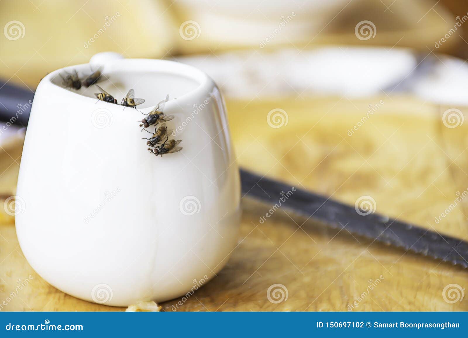 The Flies that are Feeding on the White Cup is Placed on a Wooden Tray ...