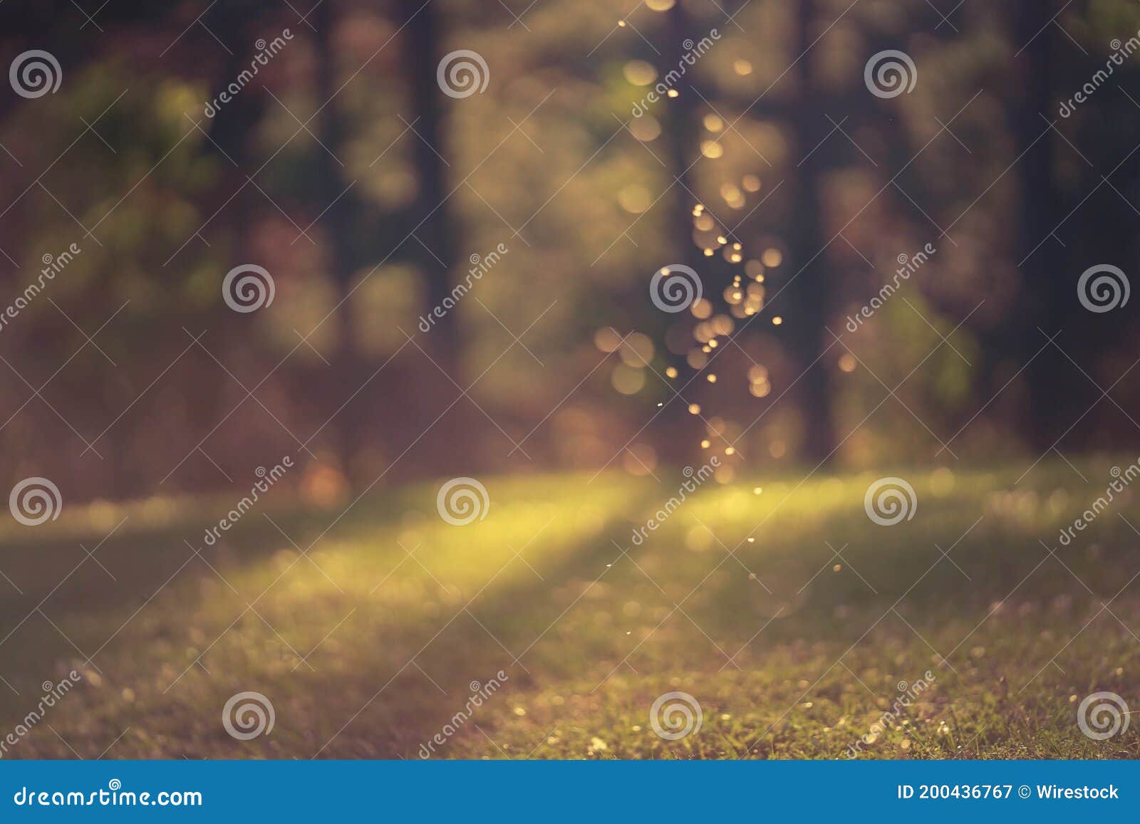 Flies in the Sunset with a Warm Glow Stock Image - Image of orange ...