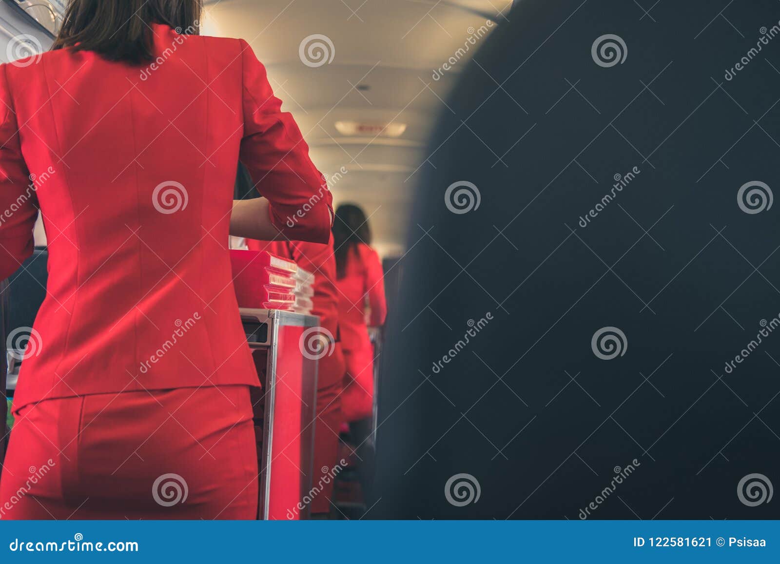 Flight Attendant Serving Food To Passenger On Aircraft Stewardess