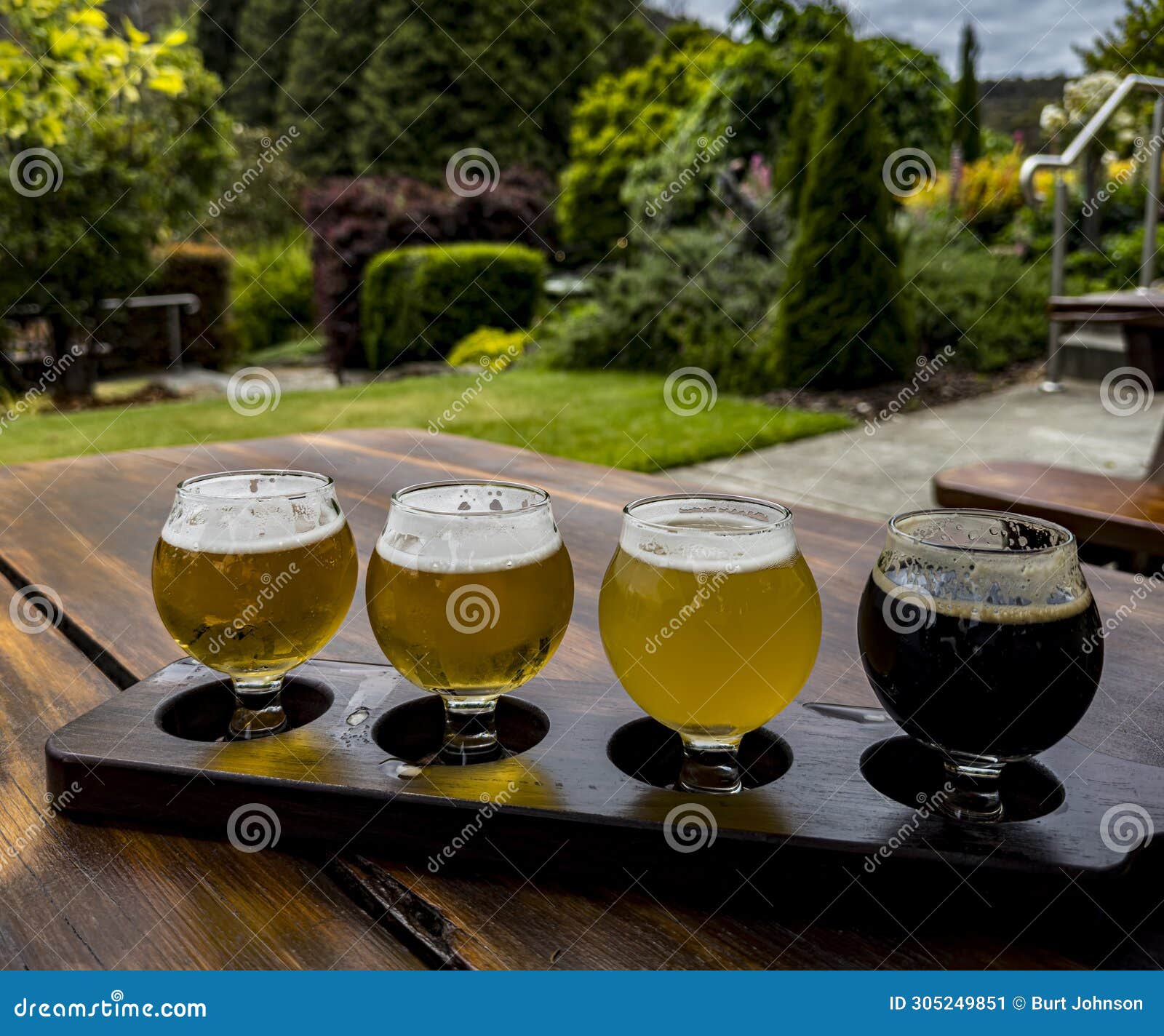 Flight of Beer Samples Presented in a Brewery in New Zealand Stock ...