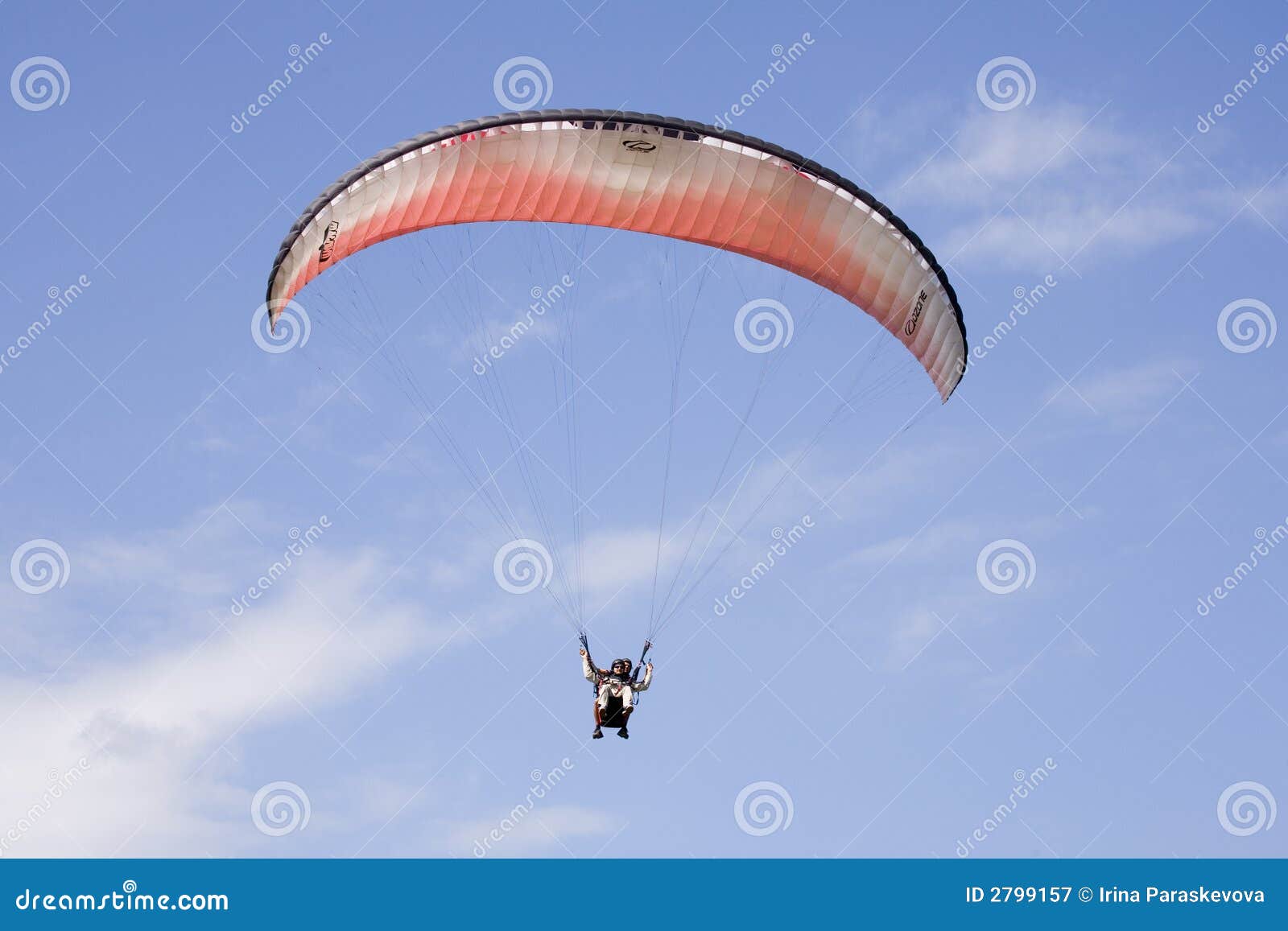 Flight Close-up Picture. Image: 2799157