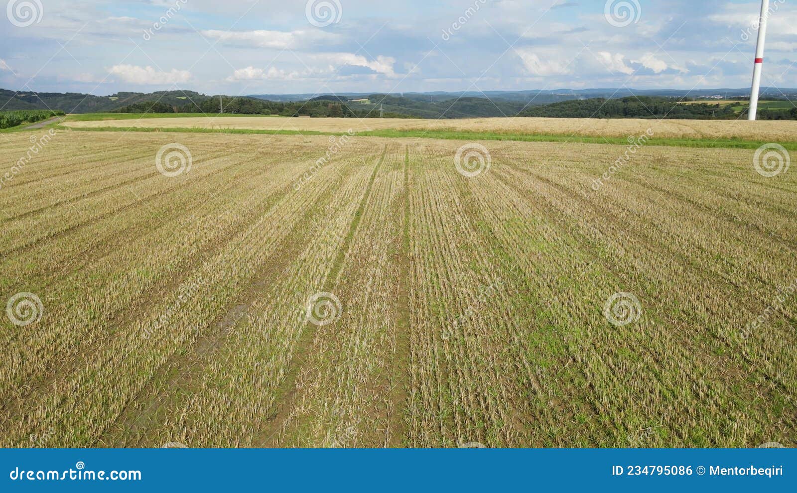 Drone Shot Over Harvested Field in Summer Stock Footage - Video of ... Drone Shot Over Harvested Field in Summer Stock Footage - Video of ...