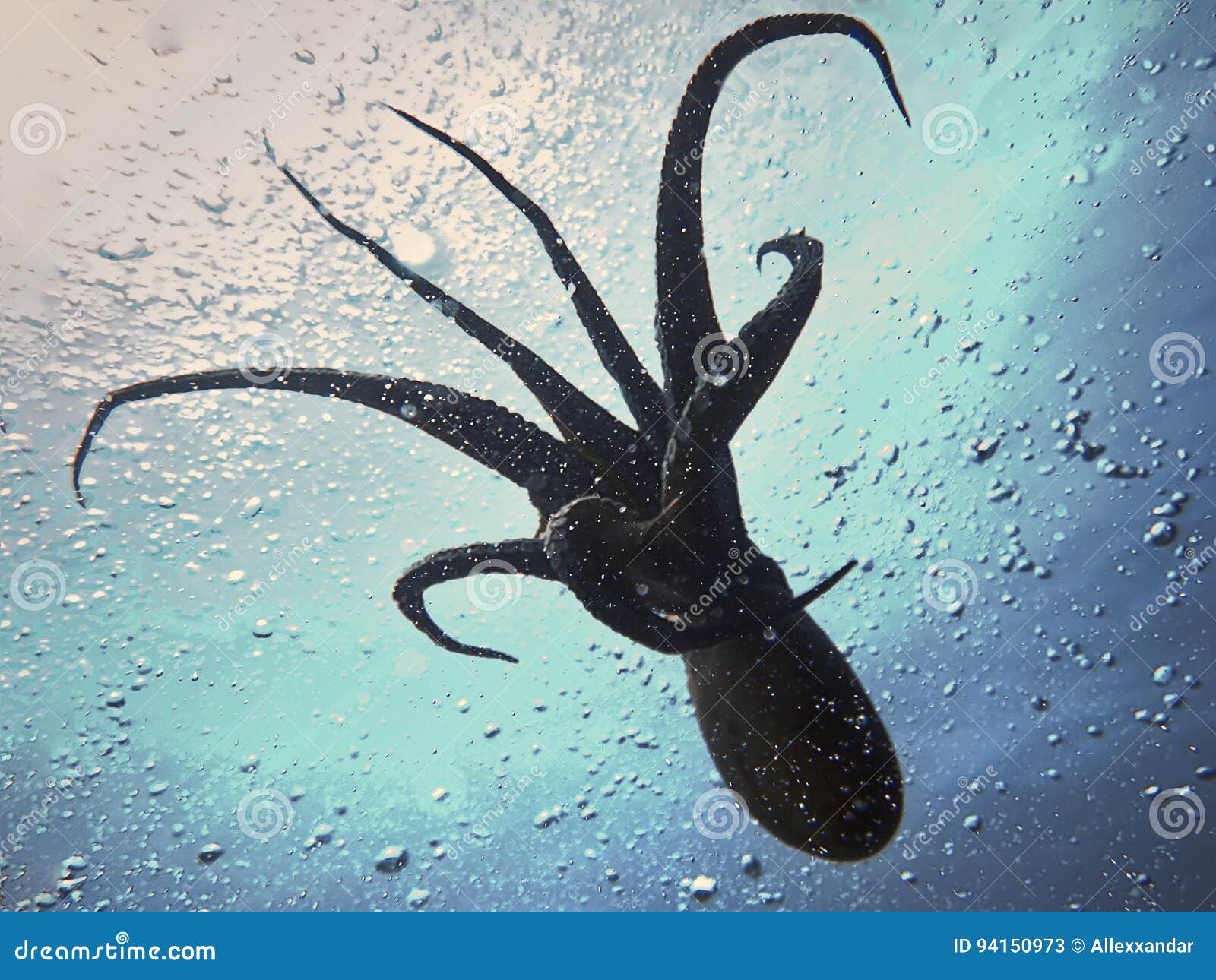 Flight of giant octopus stock image. Image of ocean, monster - 94150973